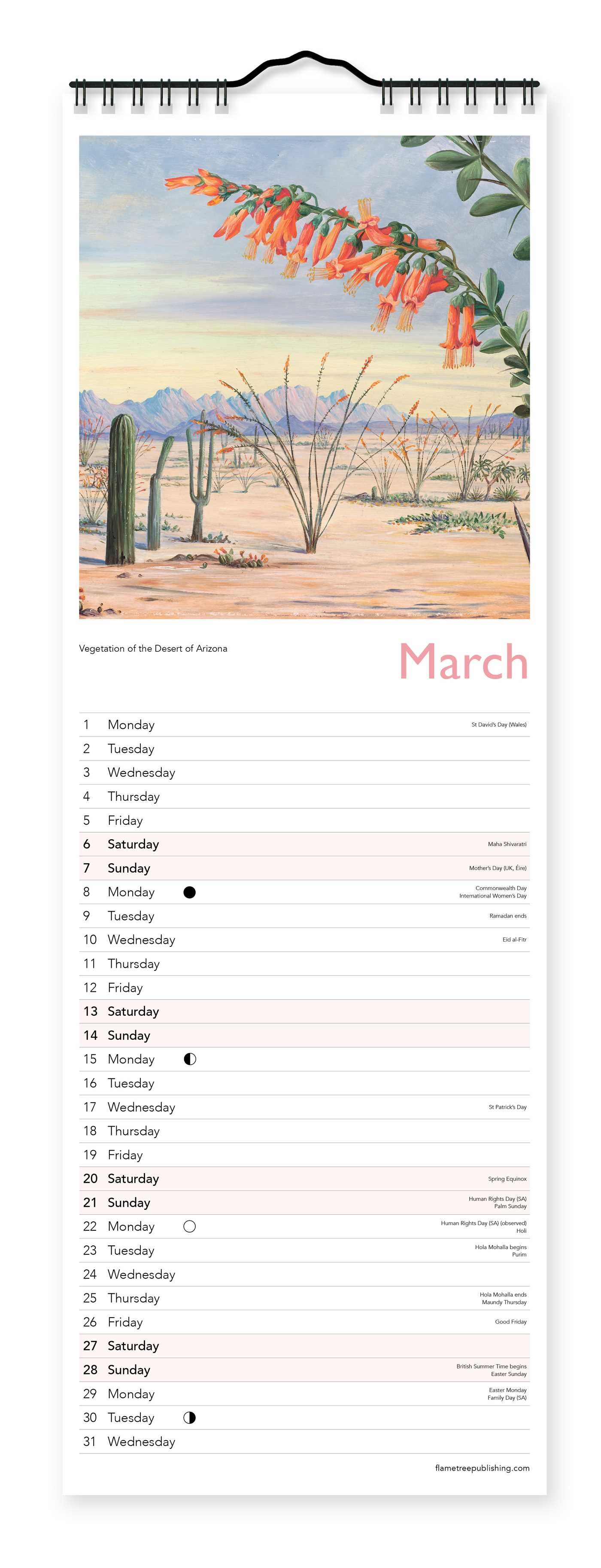Kew Gardens: Landscapes by Marianne North Slim Calendar 2027 (Art ...