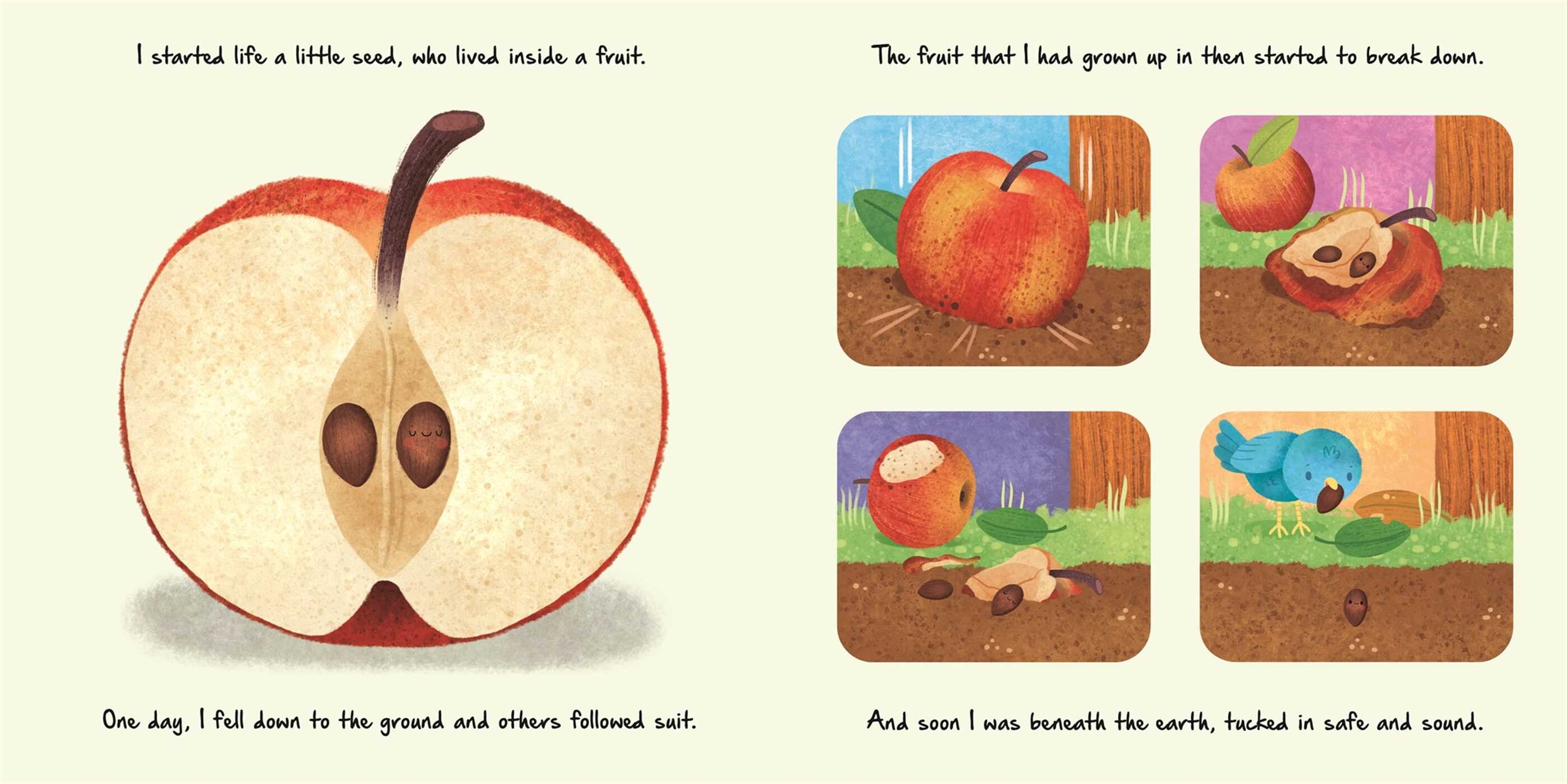 Nature Stories: Little Apple Tree | Book by IglooBooks, Gisela ...
