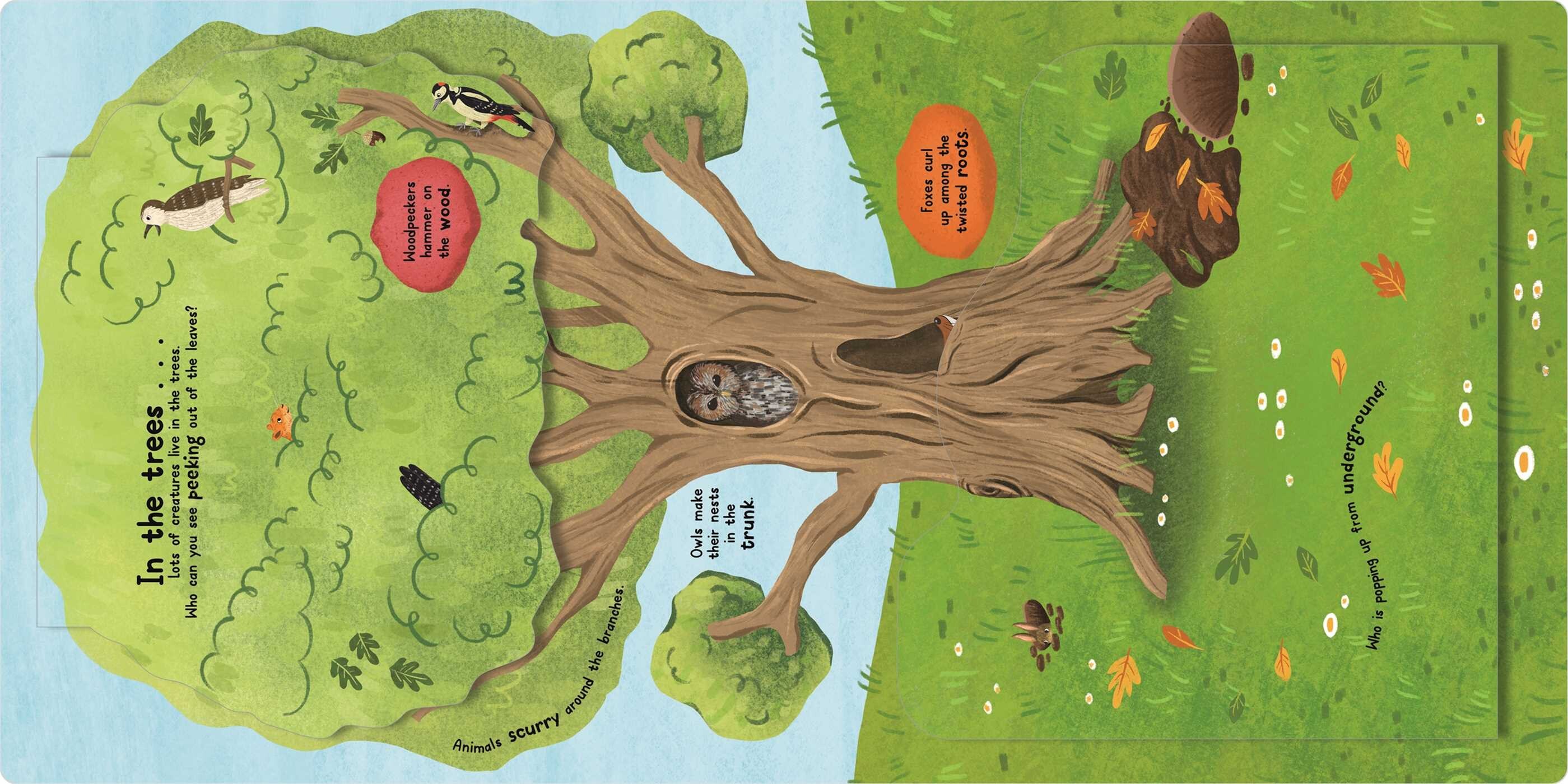 Lift to Learn: Animal Homes | Book by IglooBooks, Rose Harkness, Floss ...