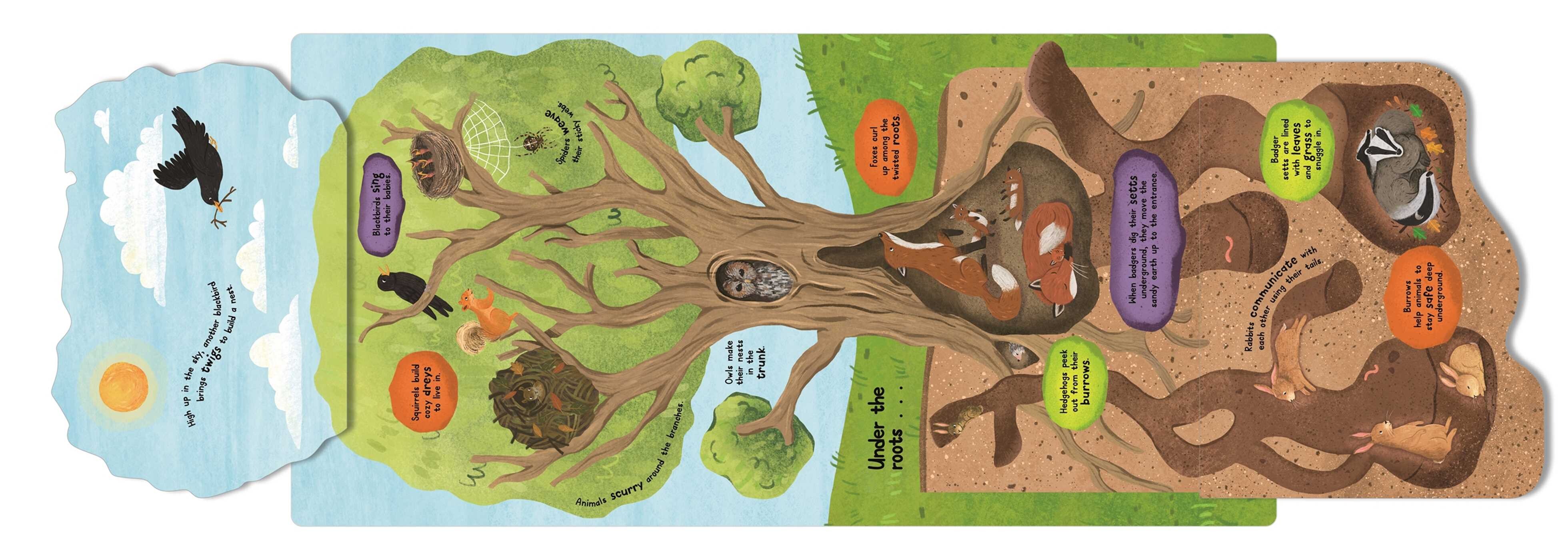 Lift to Learn: Animal Homes | Book by IglooBooks, Rose Harkness, Floss ...