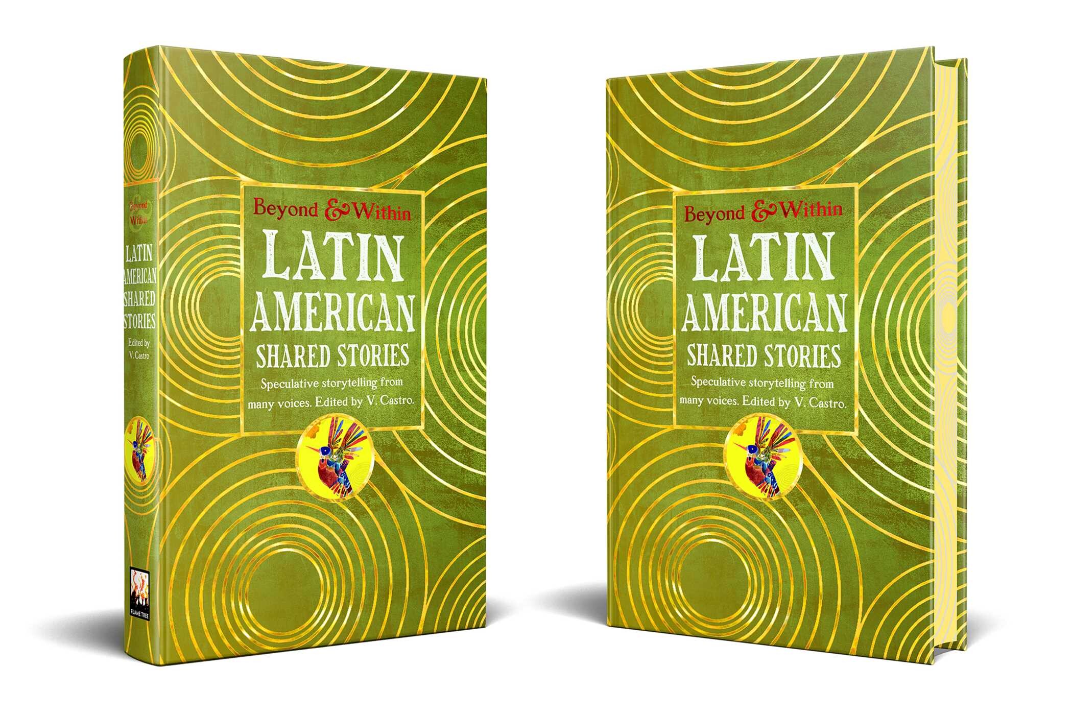 Latin American Shared Stories | Book by V. Castro | Official Publisher ...