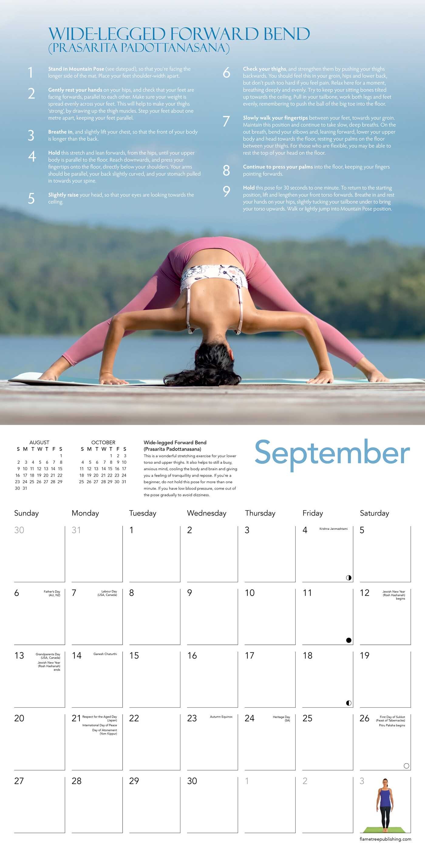 Yoga & Meditation Wall Calendar 2026 (Art Calendar) - Book Summary ...