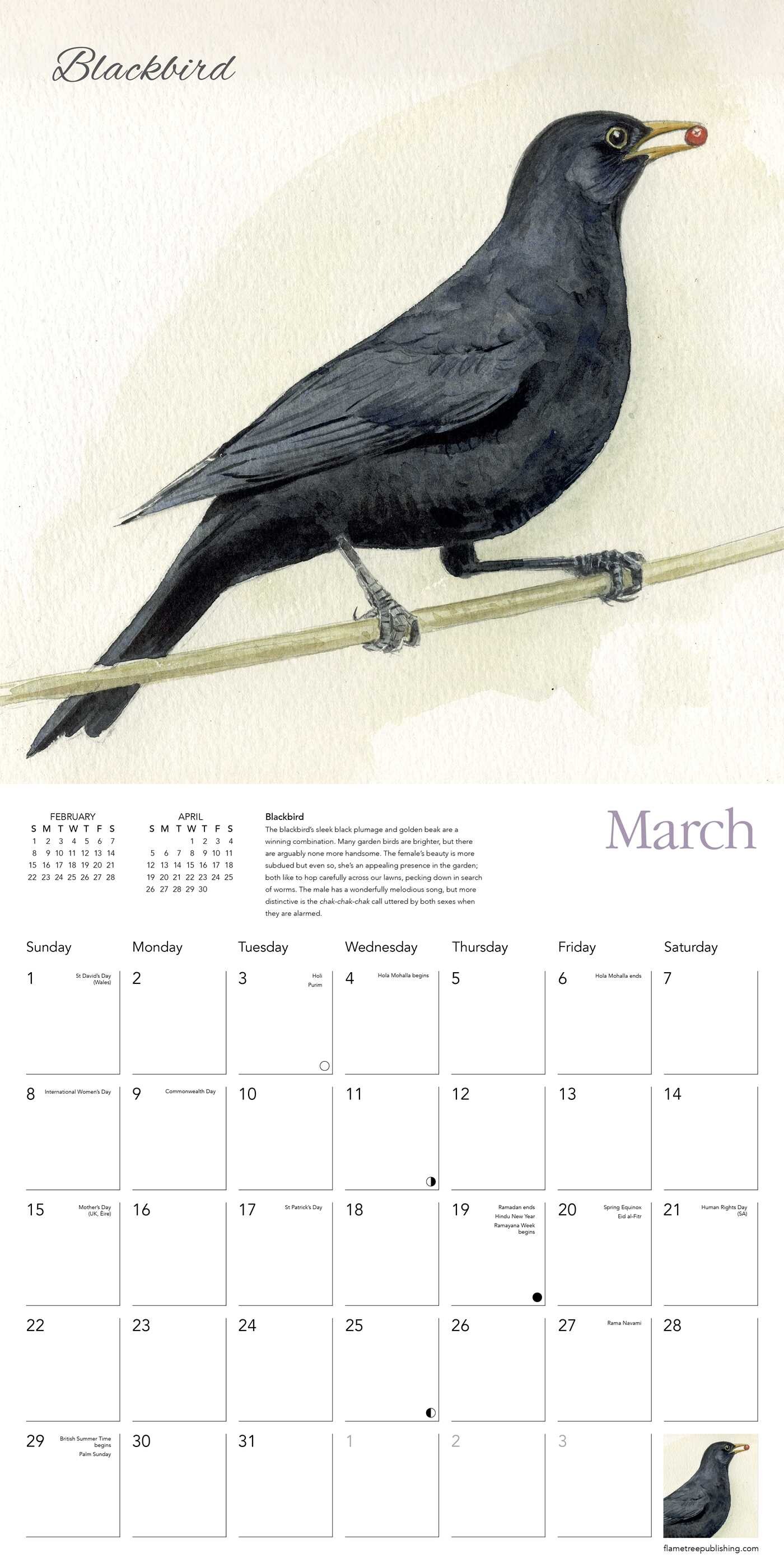 Chris Pendleton Garden Birds Wall Calendar 2026 (Art Calendar) - Book Summary & Video | Official ...