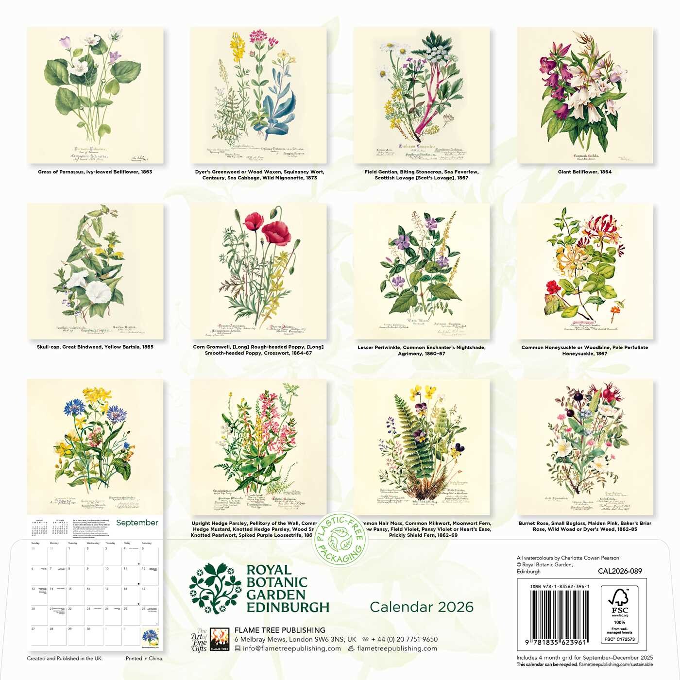 Royal Botanic Garden Edinburgh Wall Calendar 2026 (Art Calendar) - Book ...