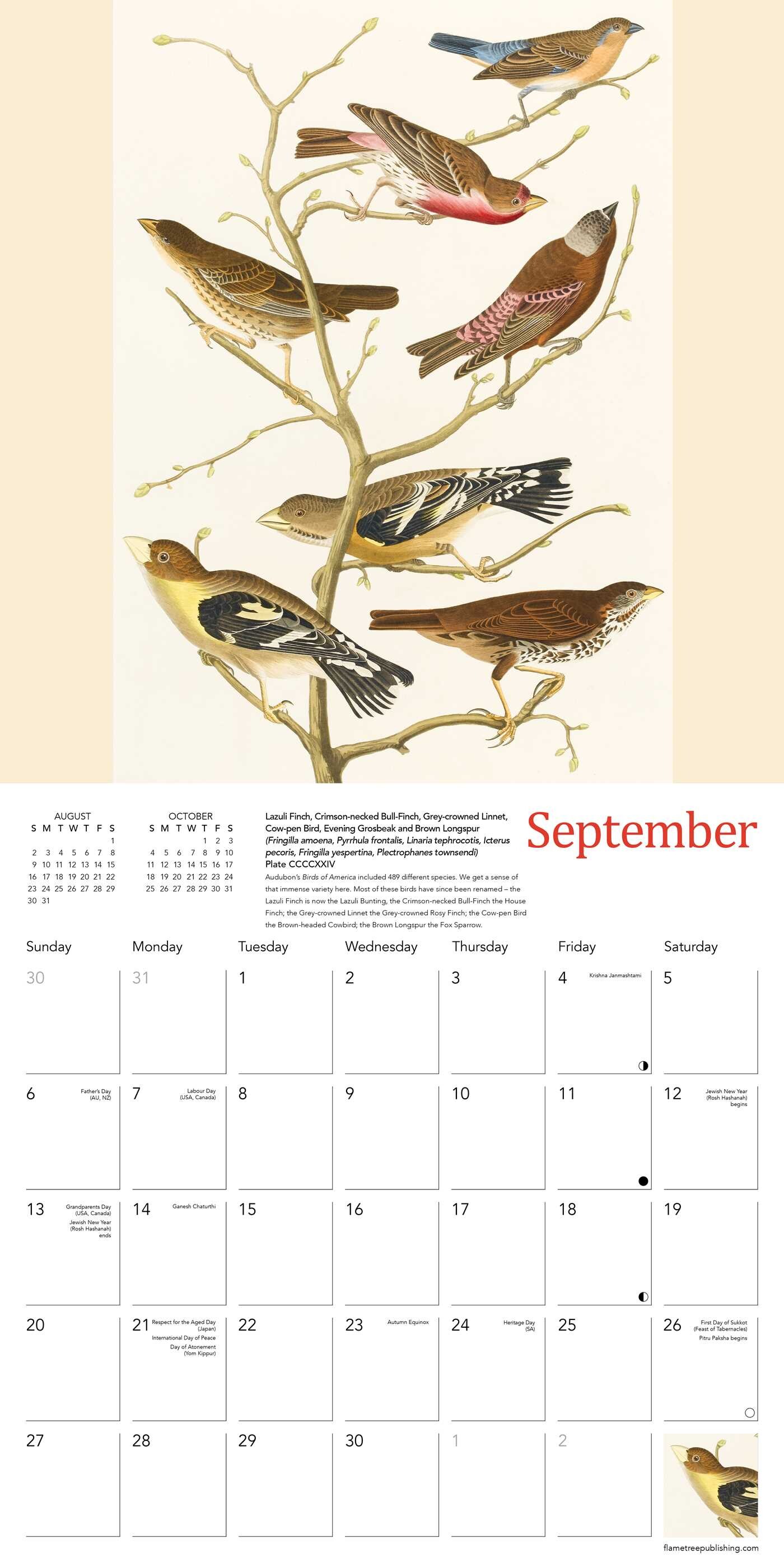 Fitzwilliam Museum: Audubon Birds Wall Calendar 2026 (Art Calendar ...