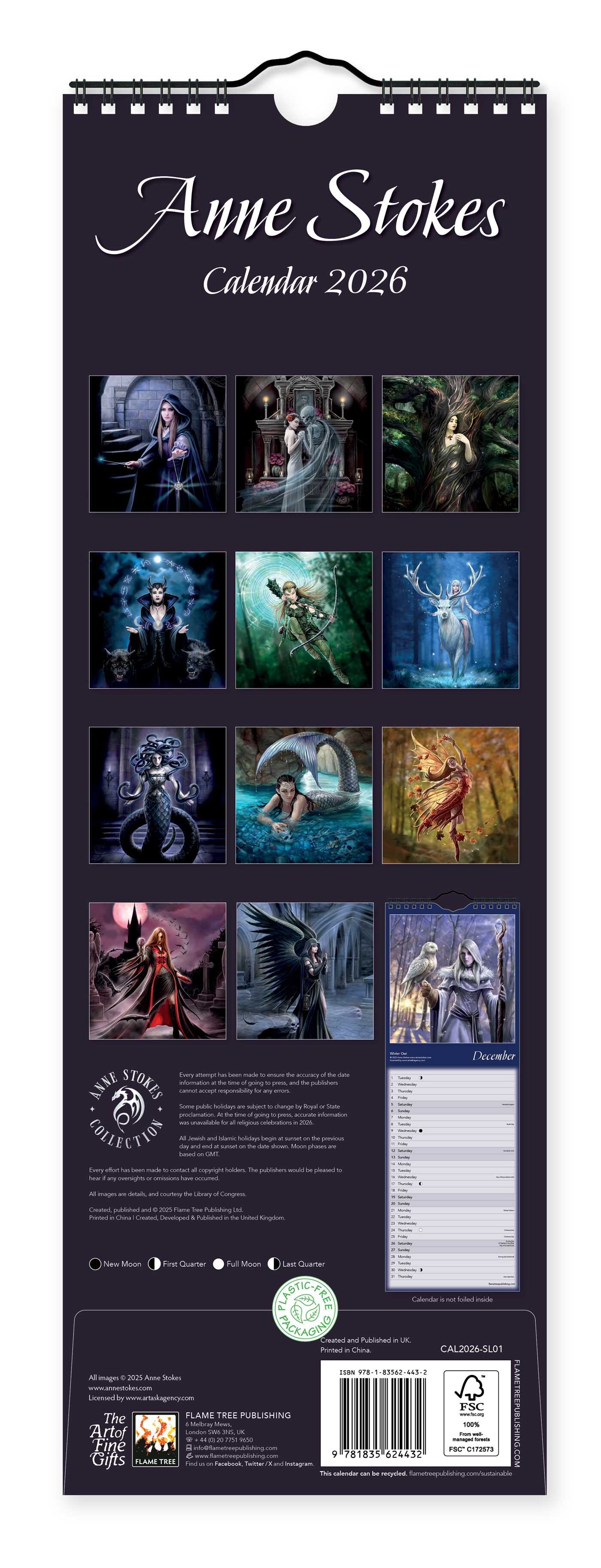 Anne Stokes Slim Calendar 2026 (Art Calendar) - Book Summary & Video ...