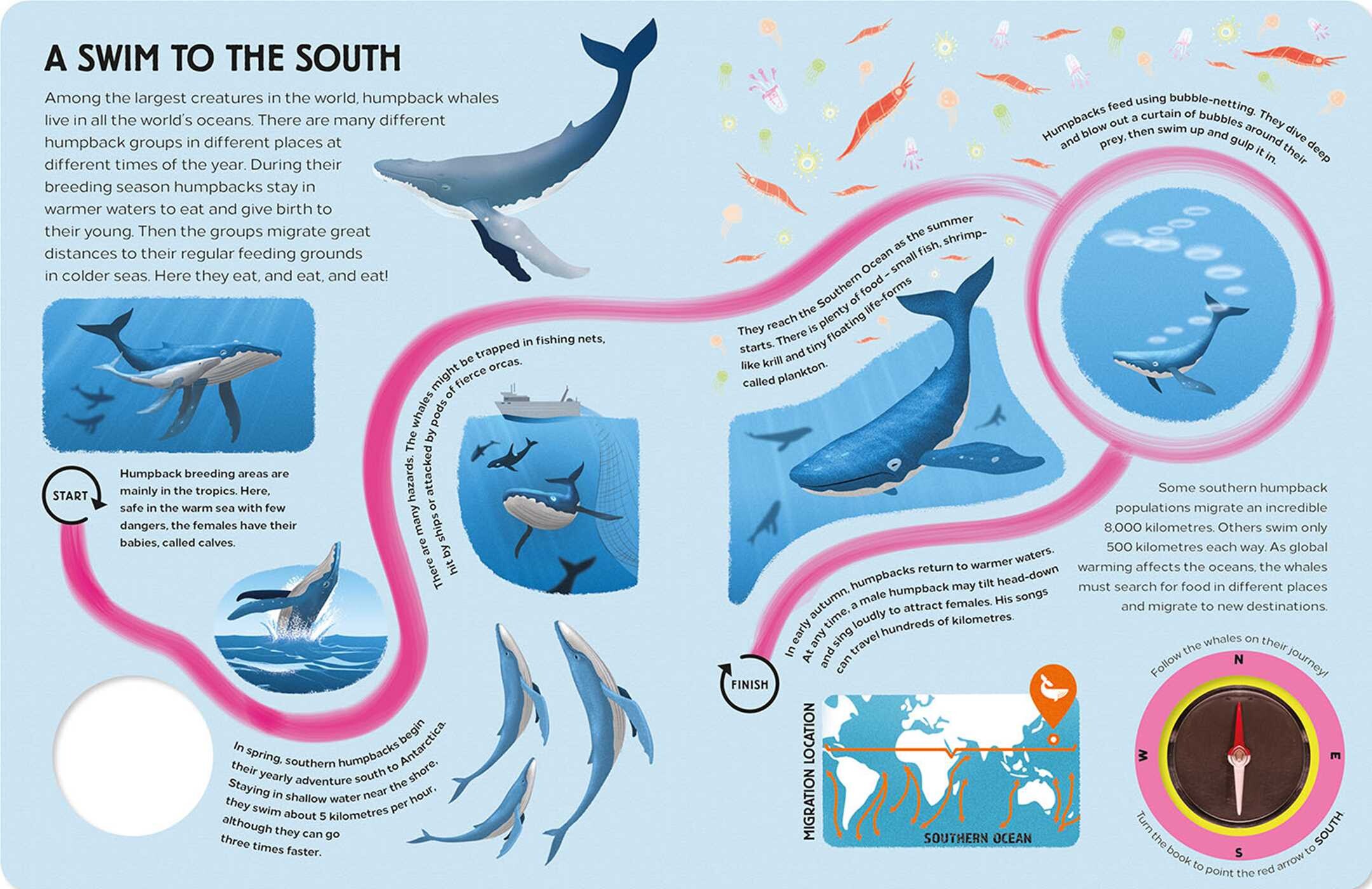 Epic Animal Journeys in the Sea | Book by Steve Parker, Matilda Martin ...