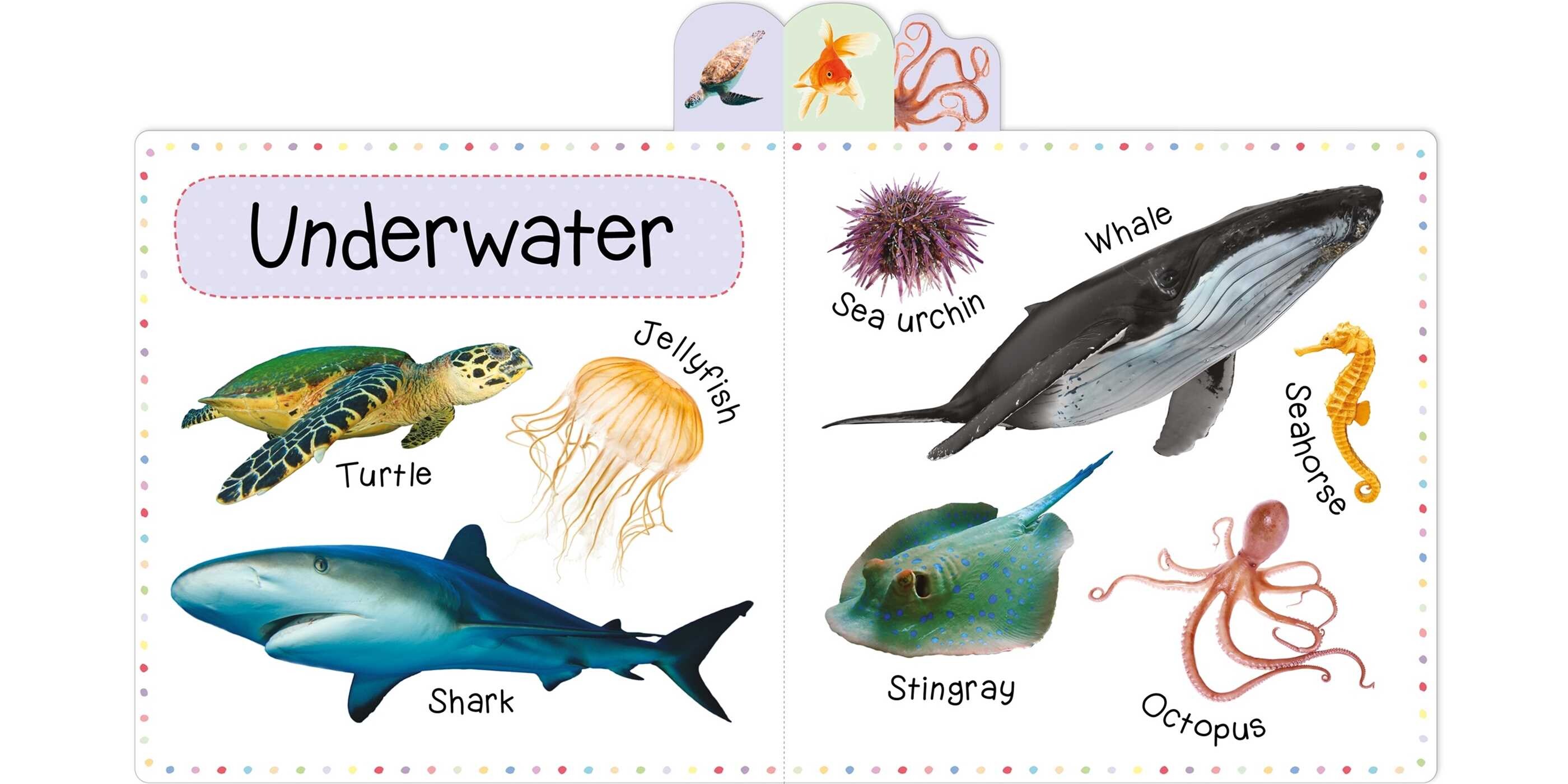 My First 100 Animal Words | Book by IglooBooks | Official Publisher ...