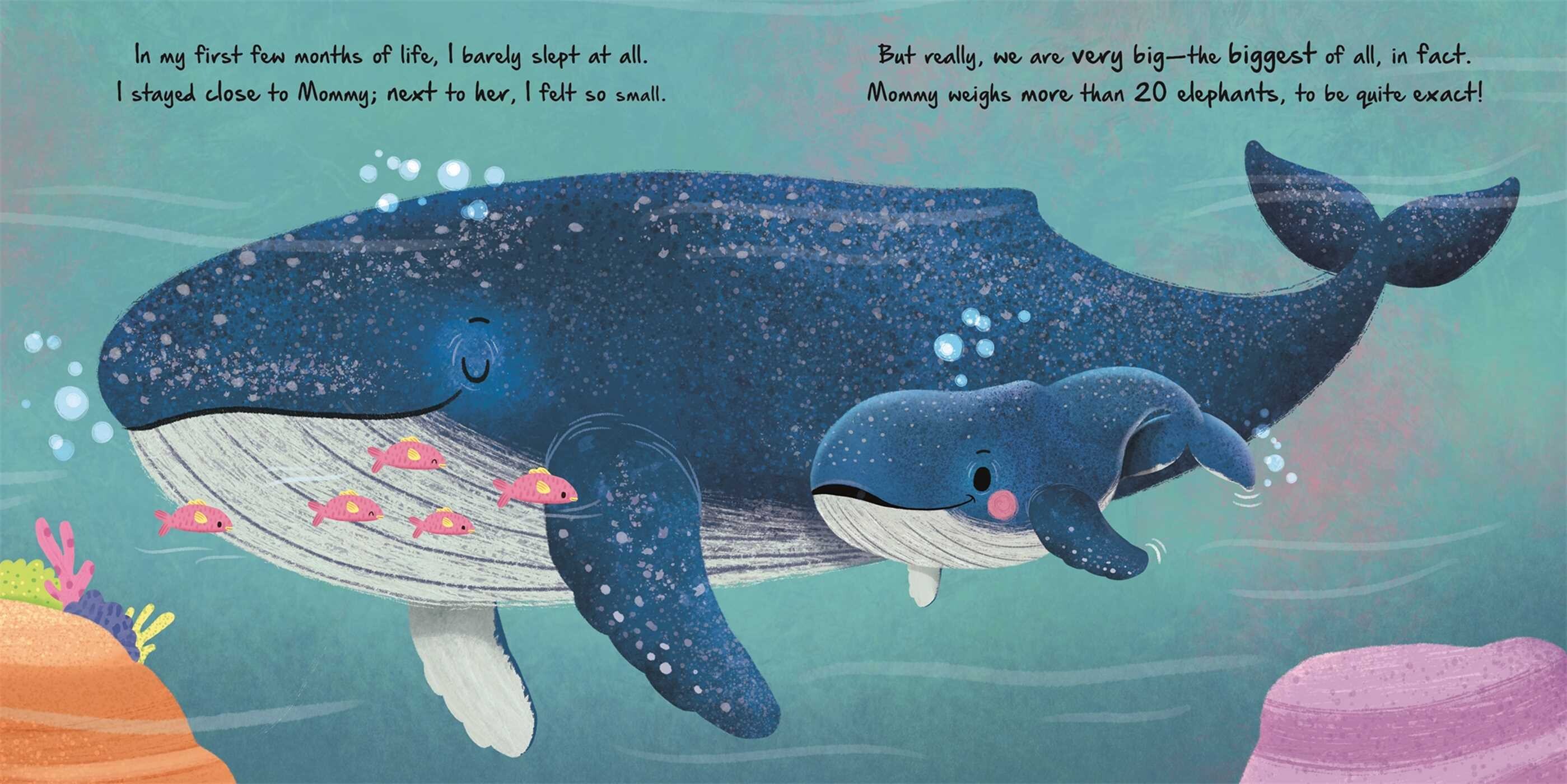 Nature Stories: Little Whale | Book by IglooBooks, Gisela Bohórquez ...
