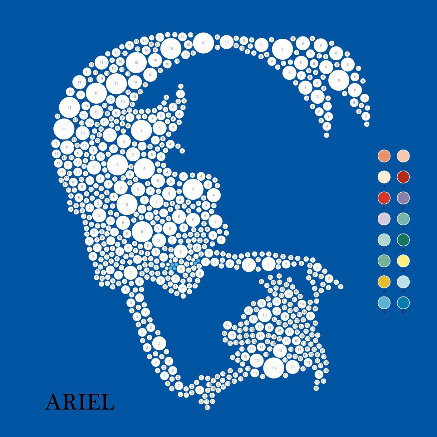 Disney Princess: Dot Coloring | Book by IglooBooks | Official Publisher ...