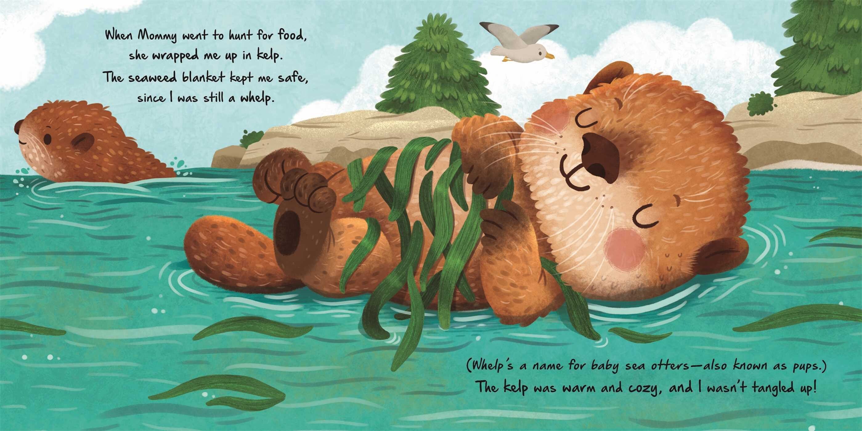 Nature Stories: Little Otter-Discover an Amazing Story from the Natural ...