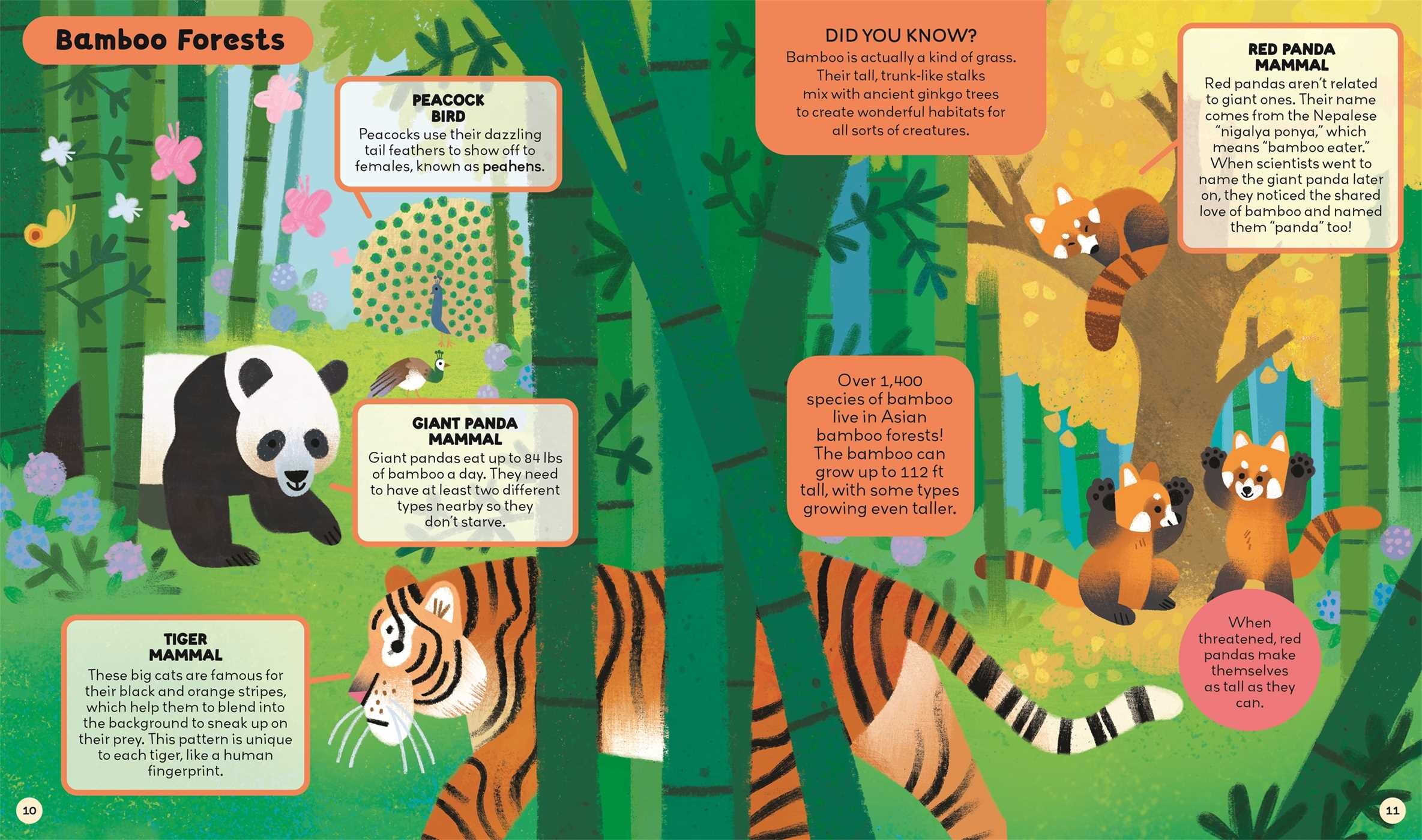 Curiosity Club: Animals | Book by IglooBooks, Rose Harkness, Brittany ...