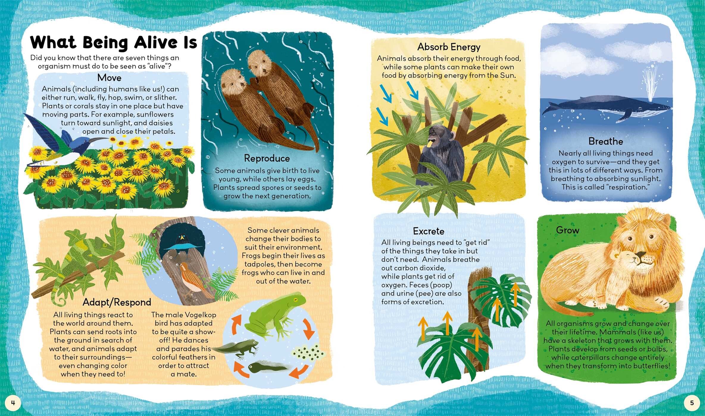 Curiosity Club: Natural World | Book by IglooBooks, Gemma Barder, Bindy ...