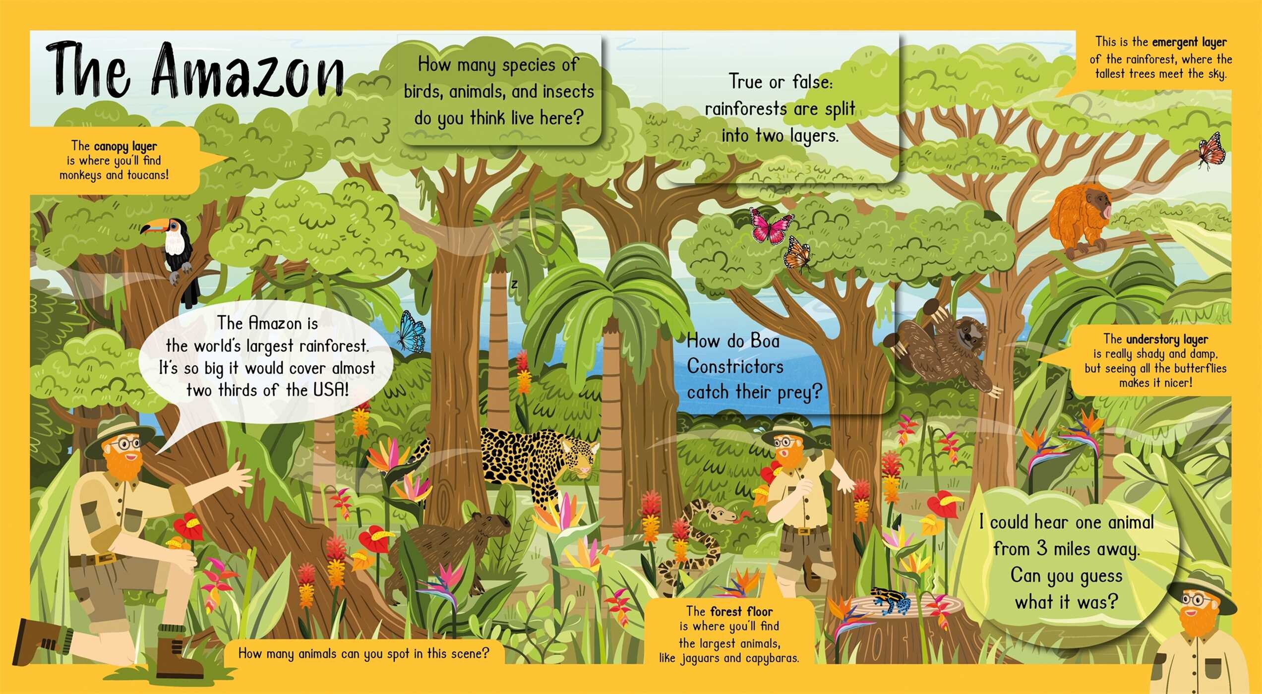 Lift-the-Flap Animal Adventure | Book by IglooBooks, Rose Harkness ...