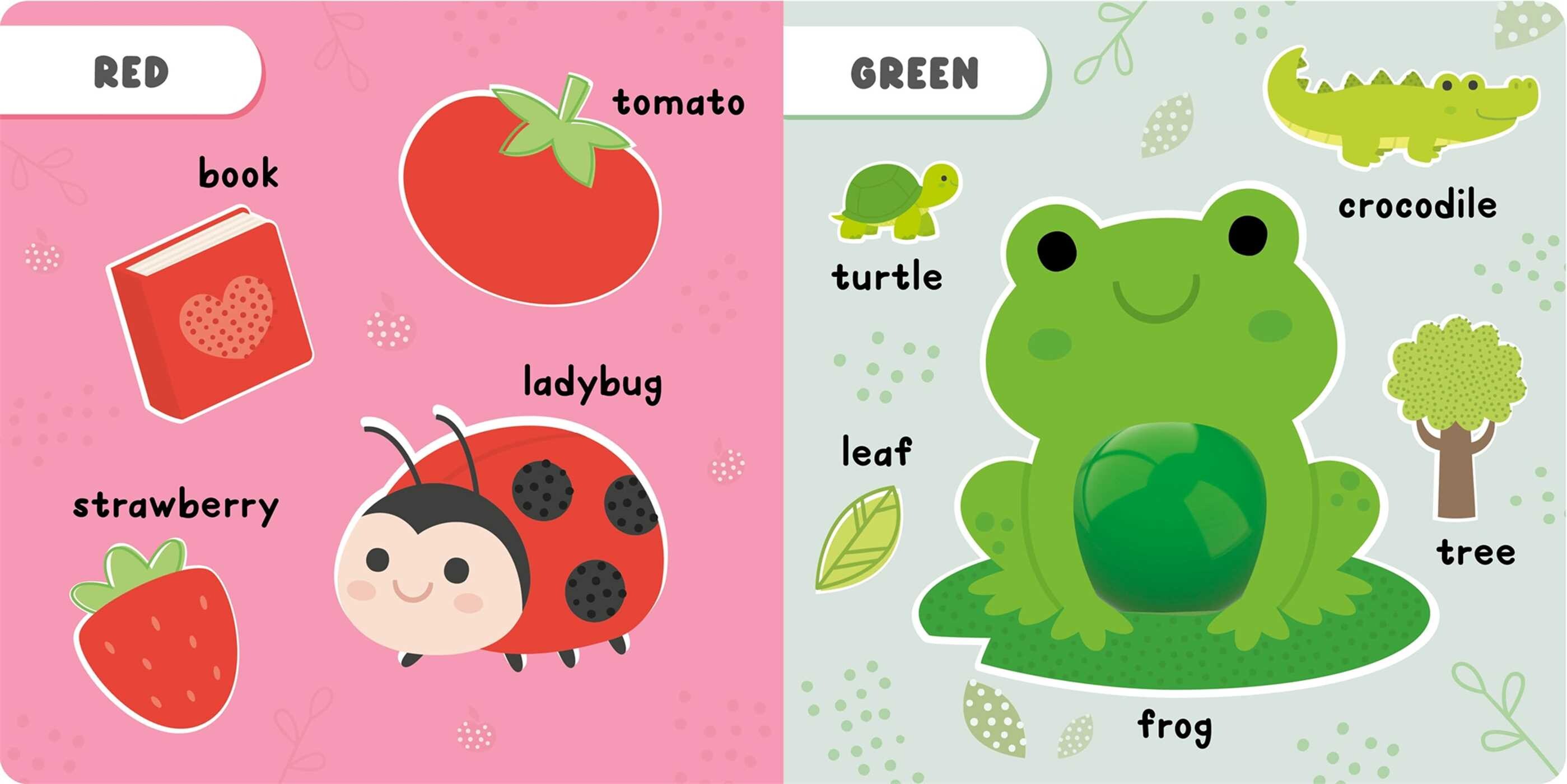 Touch & Feel First Colors | Book by IglooBooks, Daniela Massironi ...
