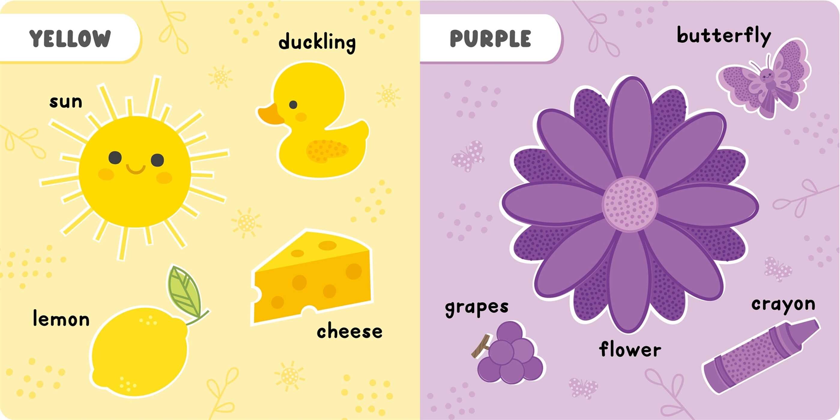 Touch & Feel First Colors | Book by IglooBooks, Daniela Massironi ...