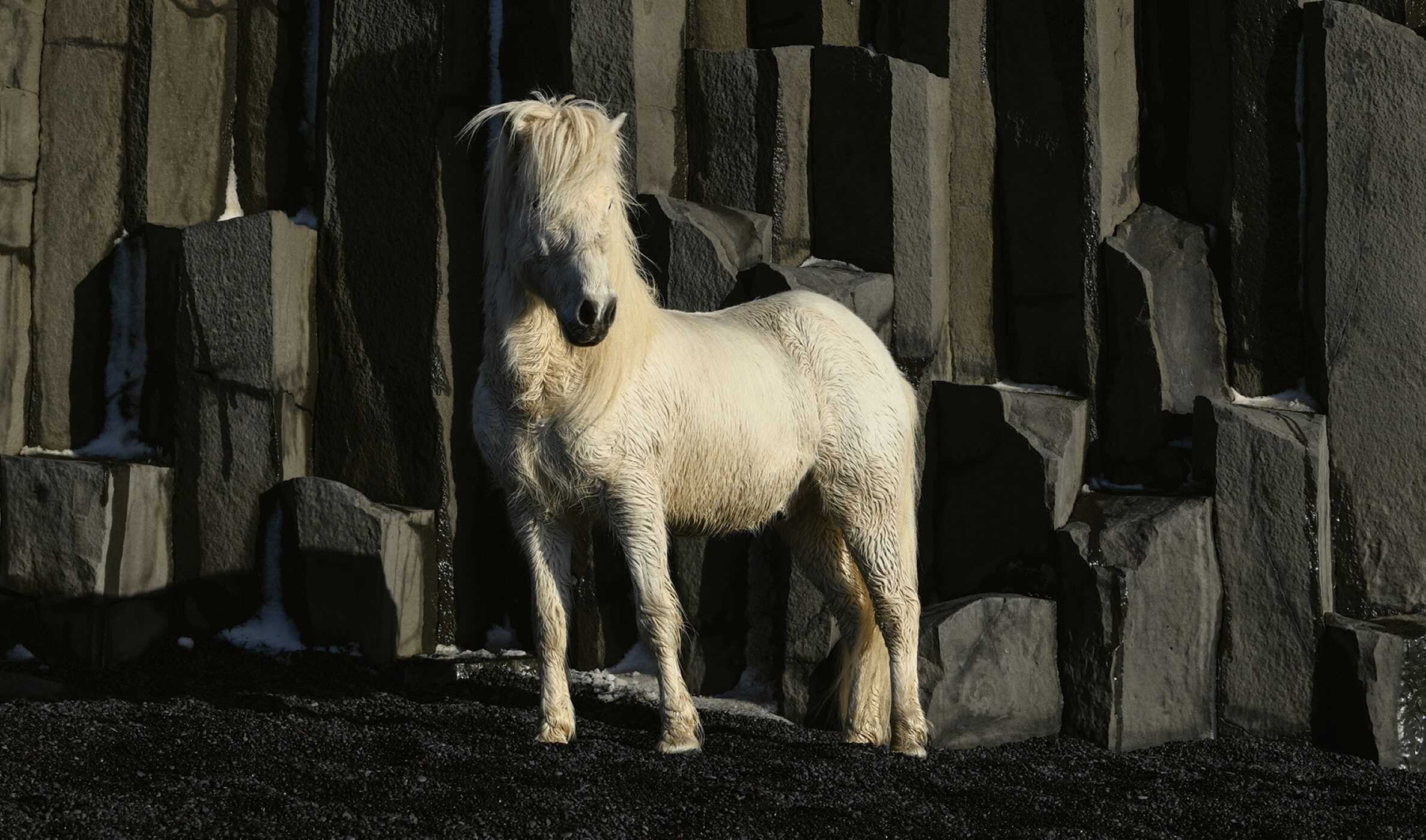 In the Land of Fire and Ice | Book by Guadalupe Laiz, Thrainn ...