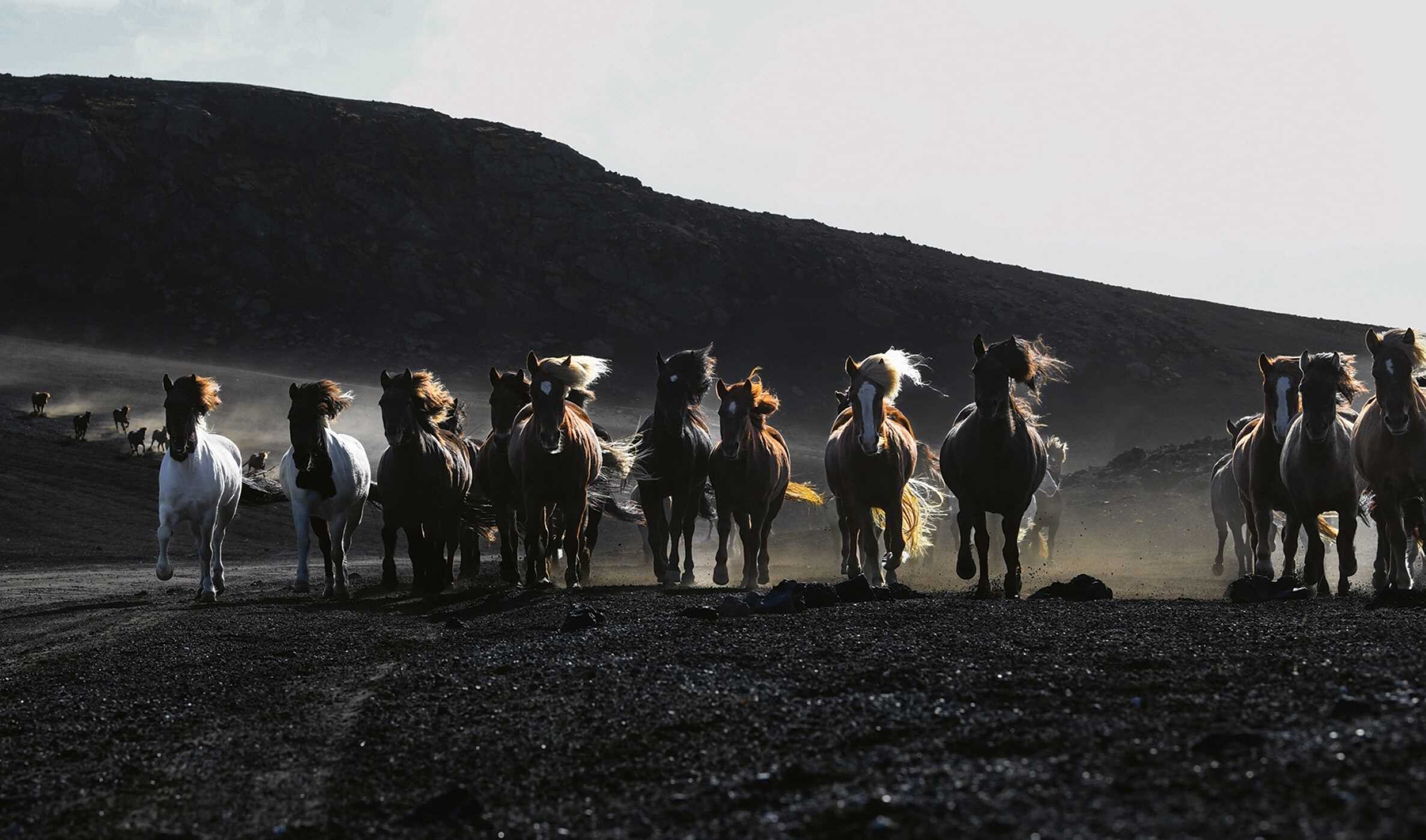 In the Land of Fire and Ice | Book by Guadalupe Laiz, Thrainn ...