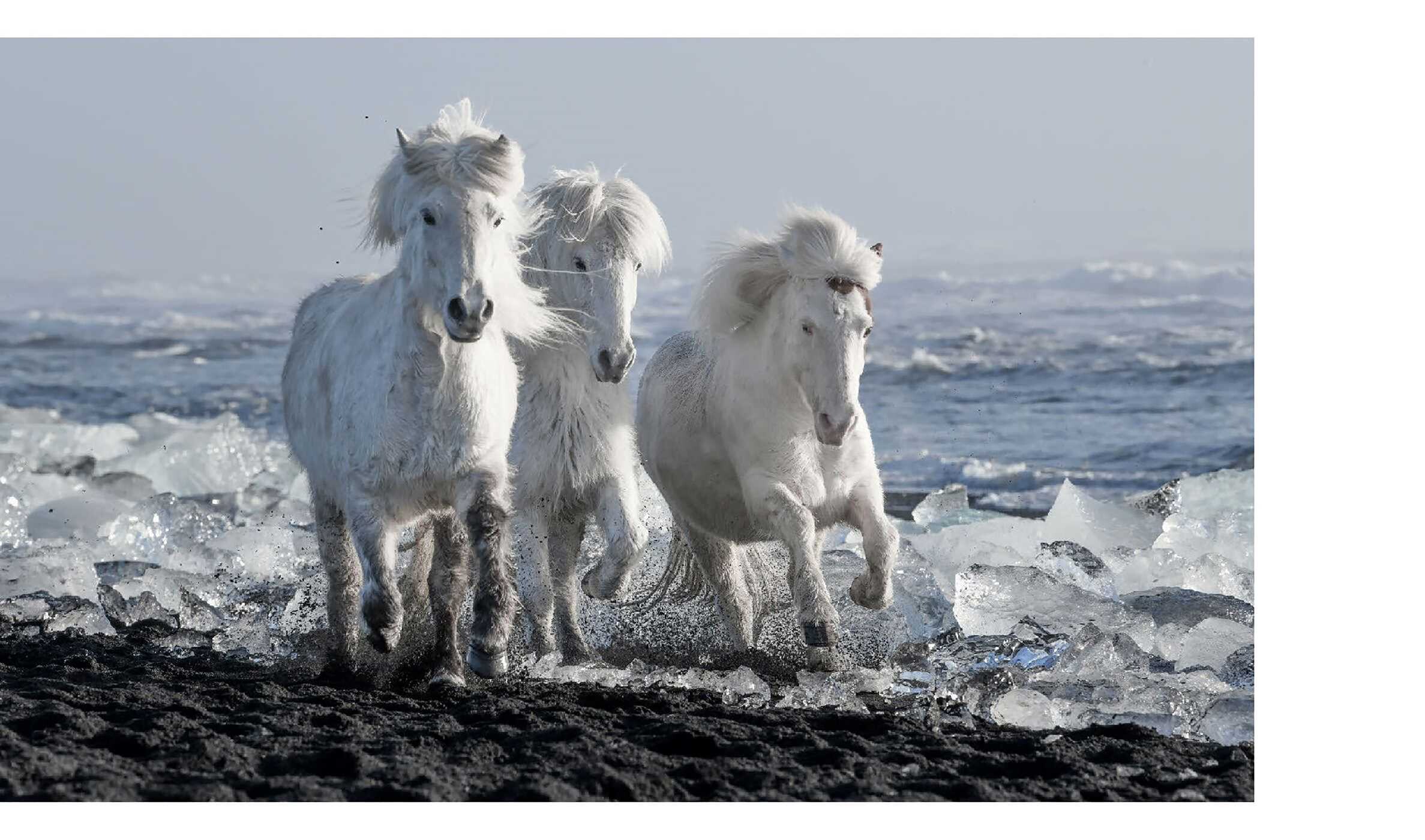 In the Land of Fire and Ice | Book by Guadalupe Laiz, Thrainn ...