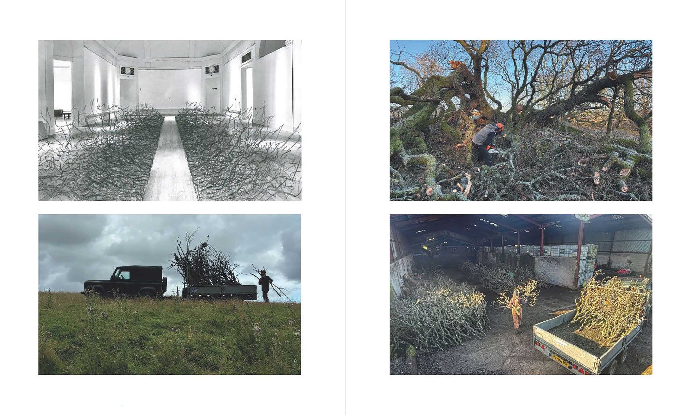 Andy Goldsworthy | Book by Andy Goldsworthy, Patrick Elliott, Tor Scott ...