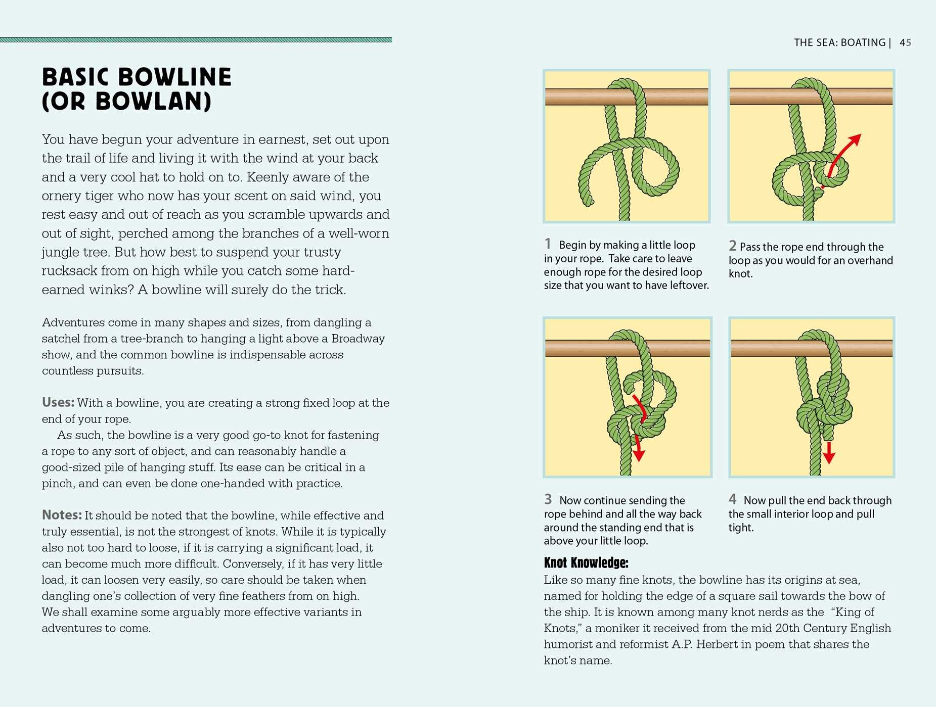 50-knots-for-every-adventure-book-by-marty-allen-official-publisher