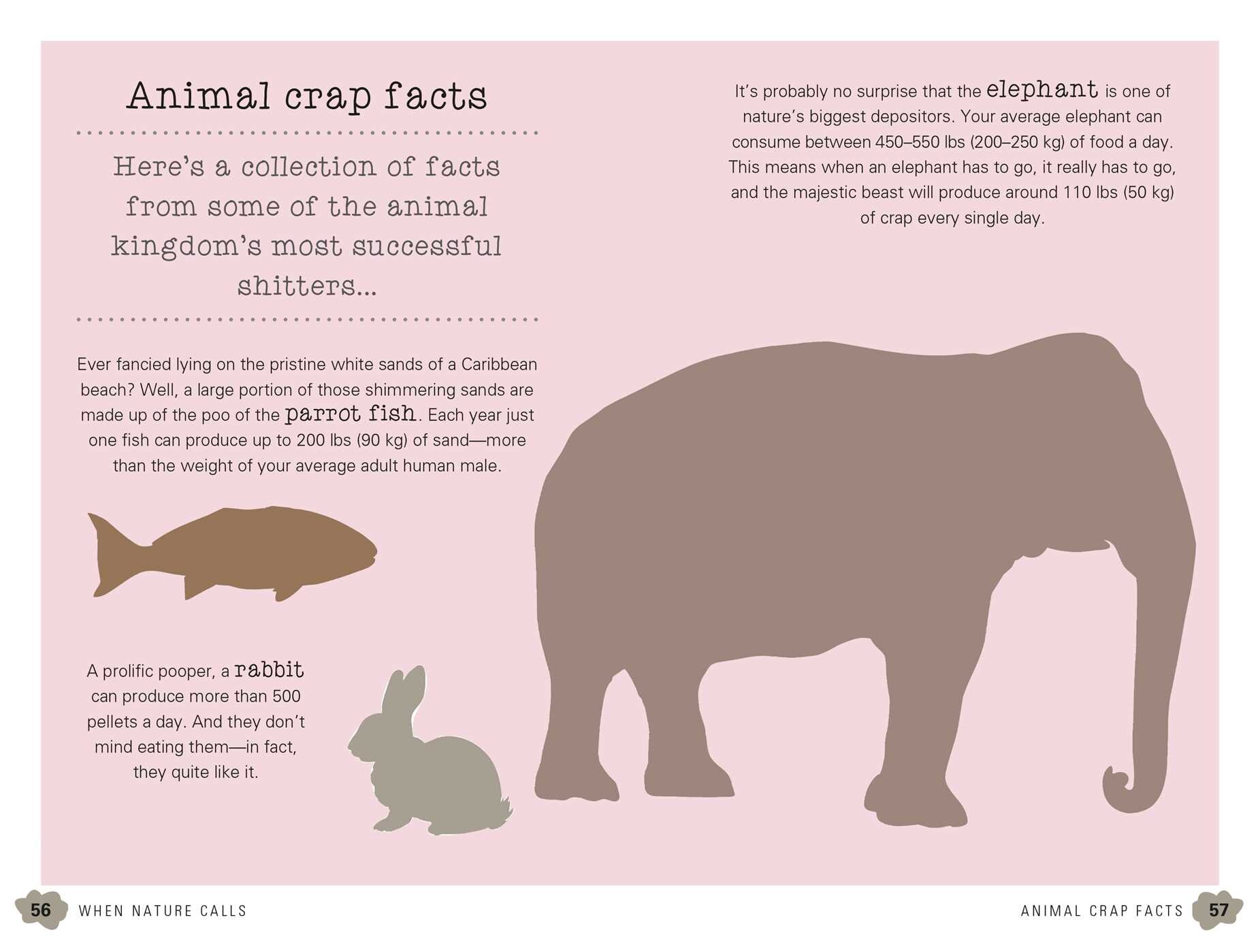 Poo Knew? | Book by Emma Royde | Official Publisher Page | Simon & Schuster