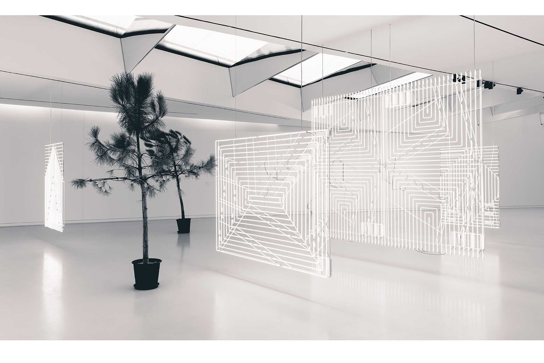 Forms in Space…through Light (in Time) | Book by Sergio Mah, Michael ...