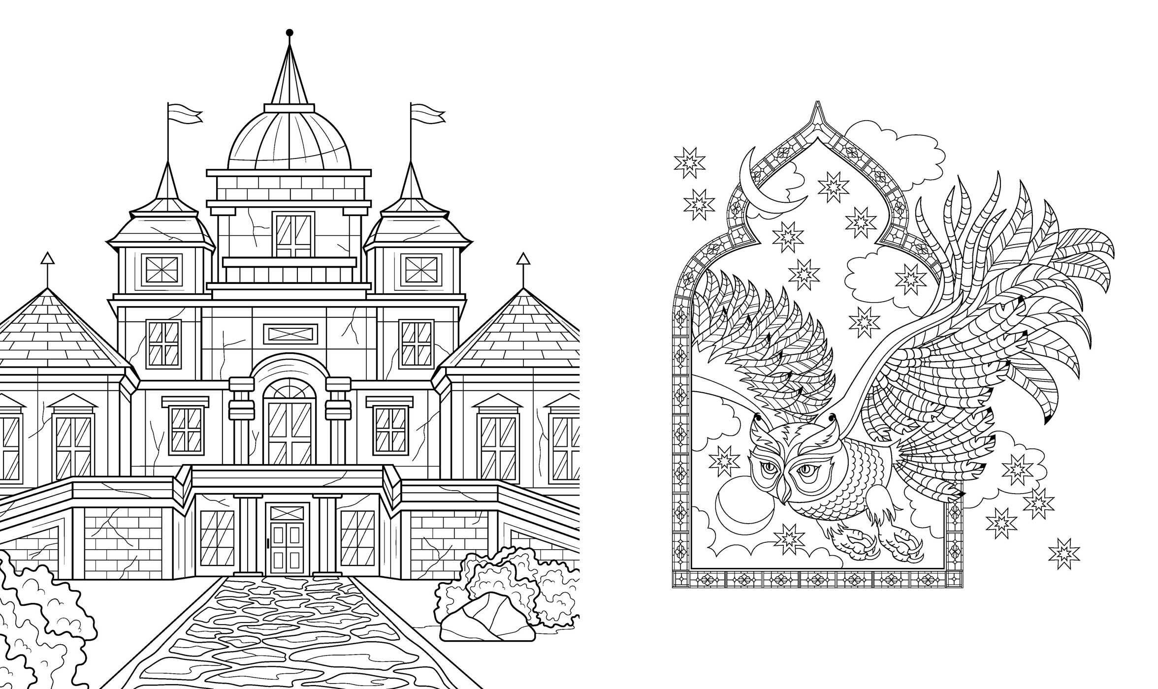 Dark Academia Coloring Book | Book by Rockpool Publishing | Official ...