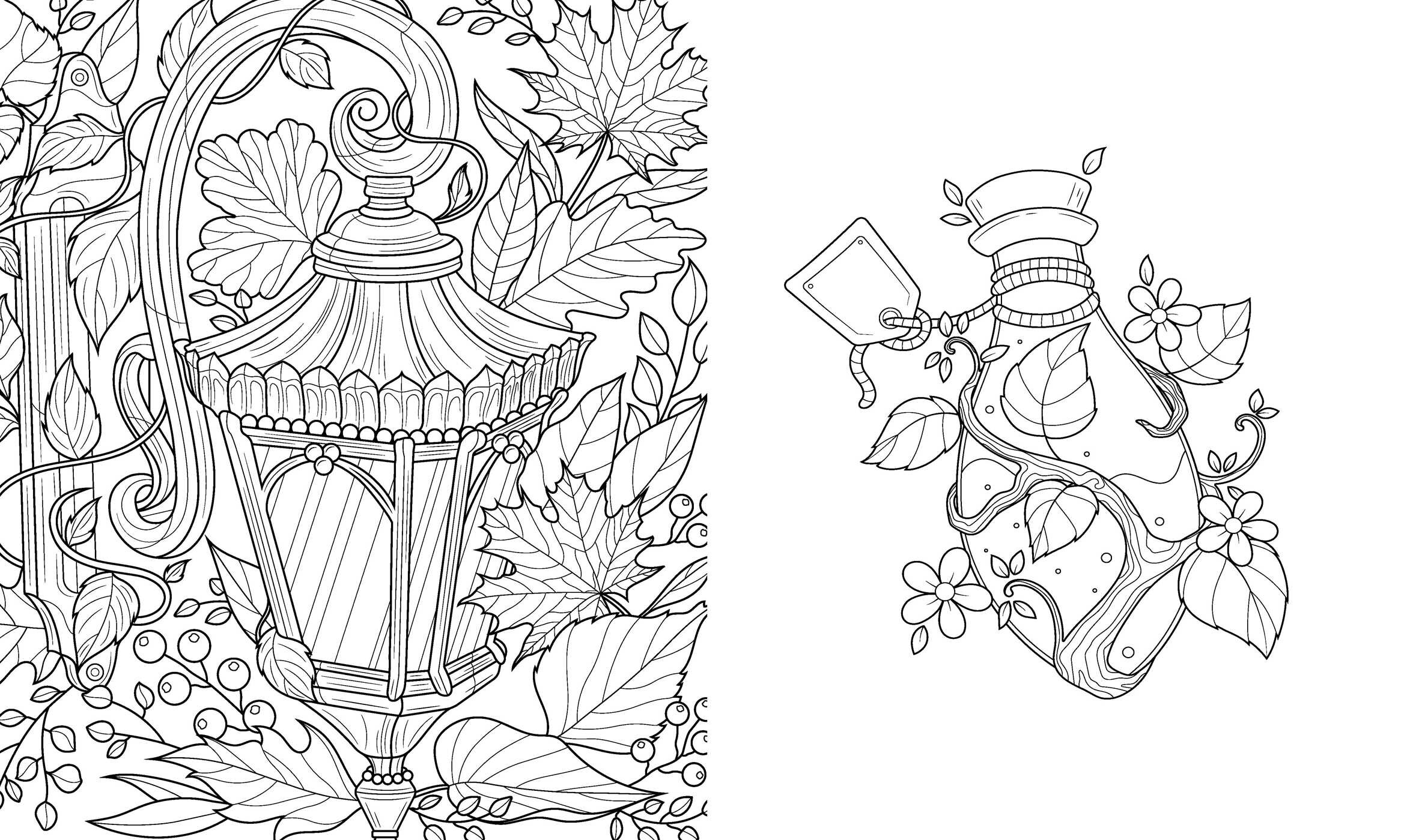 Dark Academia Coloring Book | Book by Rockpool Publishing | Official ...