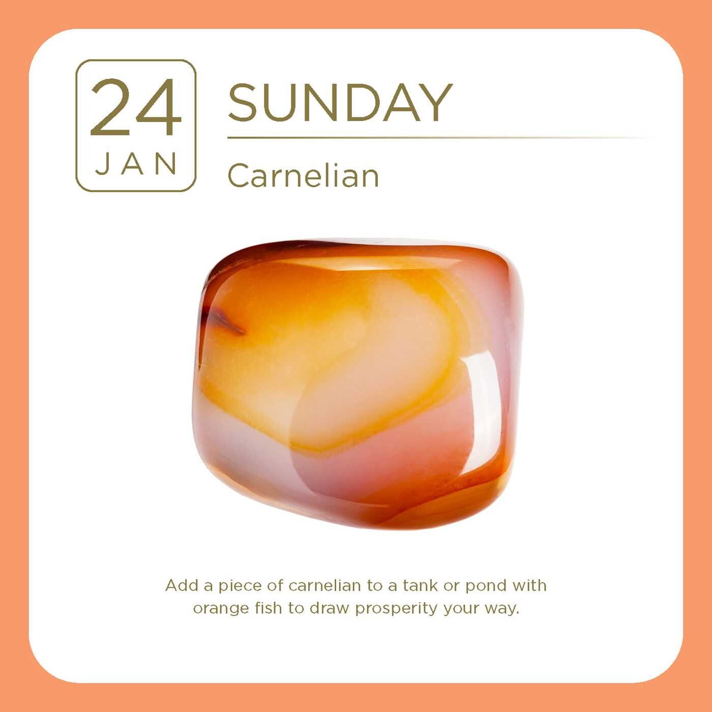 2027 Crystal Day-to-Day Calendar - Book Summary & Video | Official ...