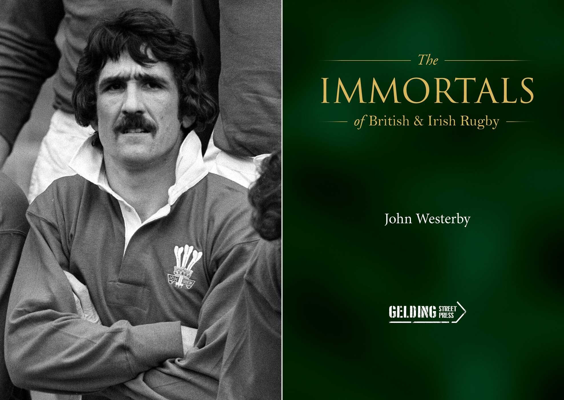 The Immortals of British & Irish Rugby | Book by John Westerby ...