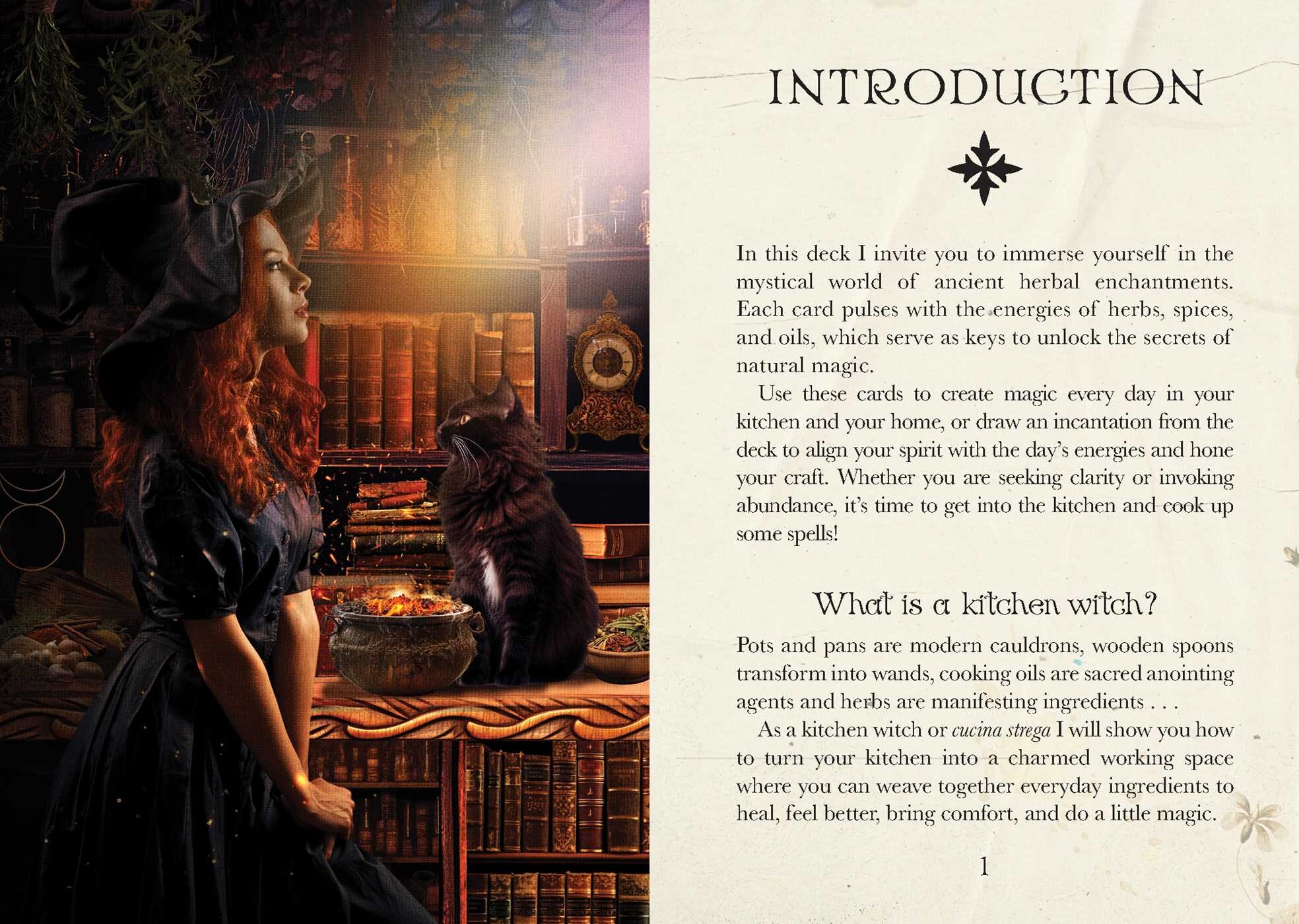 Kitchen Witch Oracle - Book Summary & Video | Official Publisher Page ...
