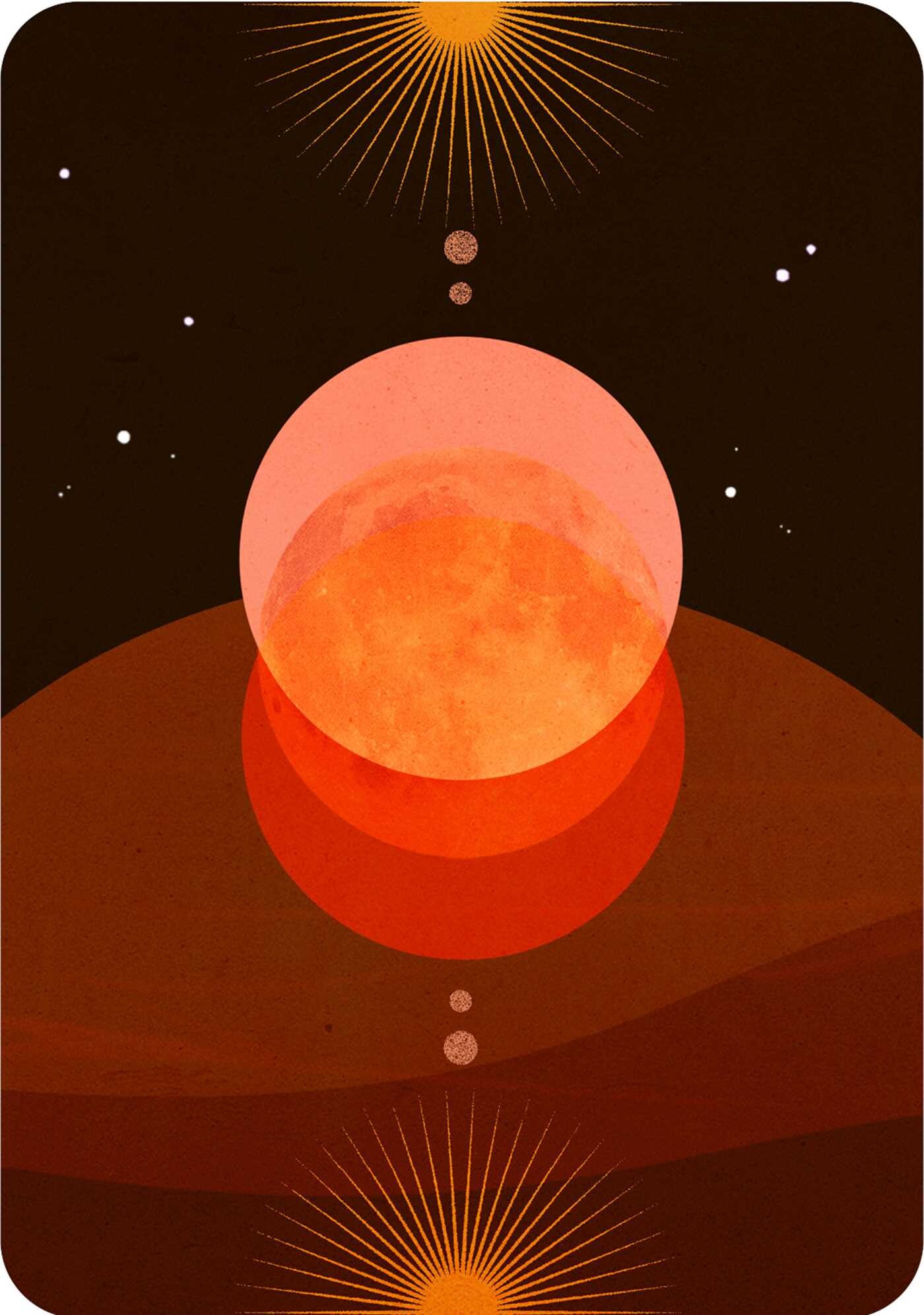 Wild Whispers Oracle - Book Summary & Video | Official Publisher Page ...