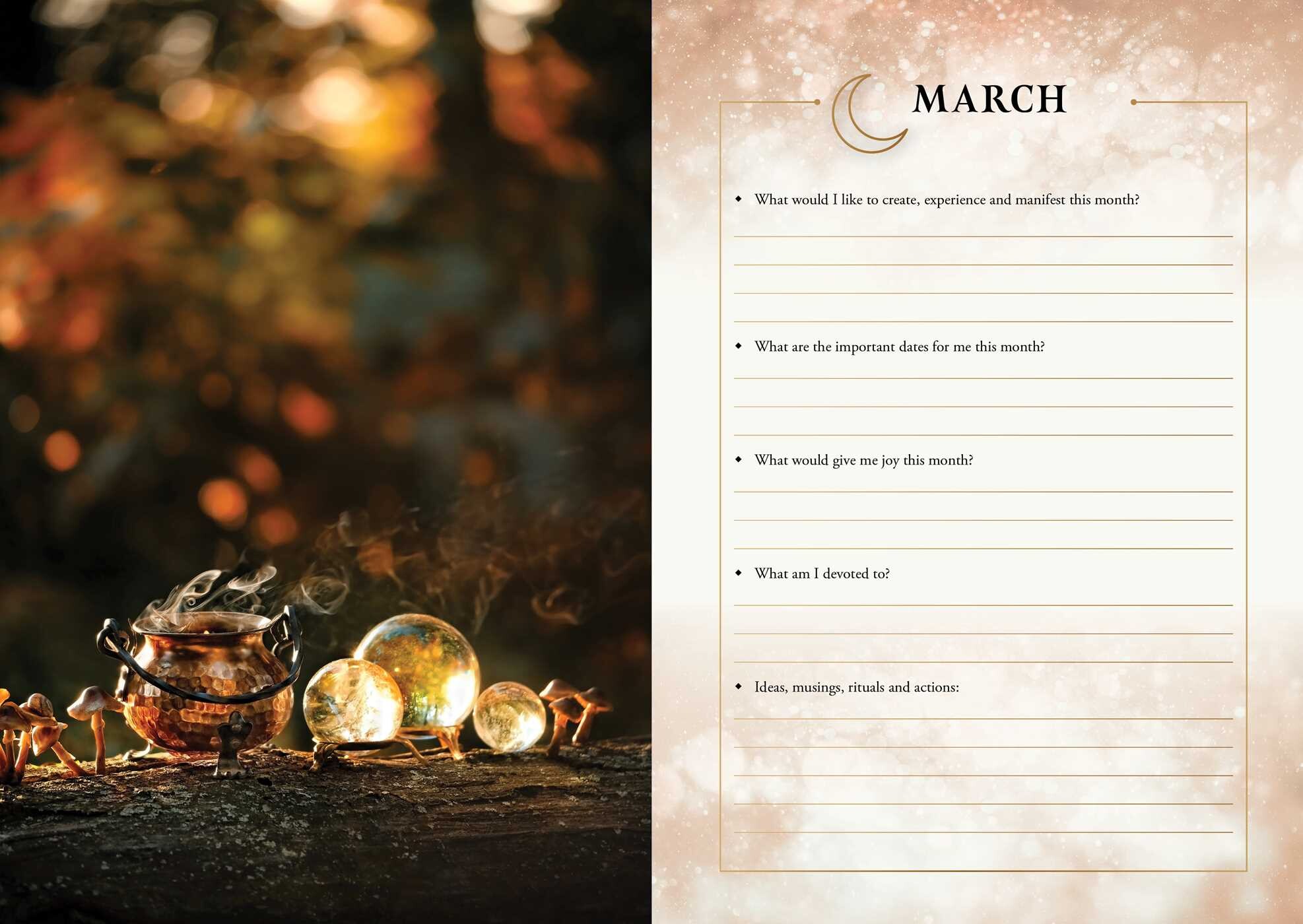 2026 Lunar and Seasonal Diary: Southern Hemisphere | Book by Stacey ...