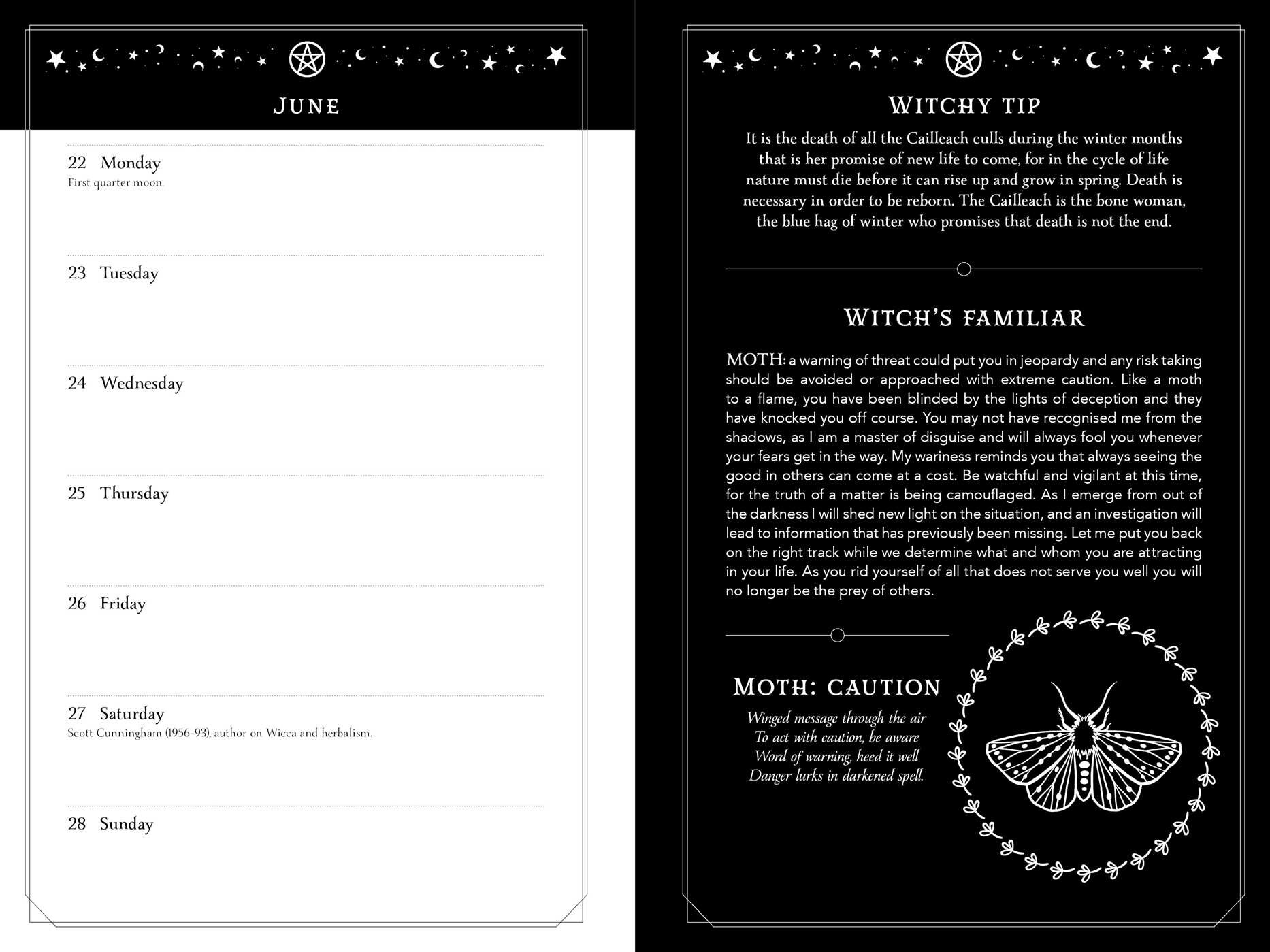 2026 Witch's Diary: Southern Hemisphere | Book by Flavia Kate Peters ...