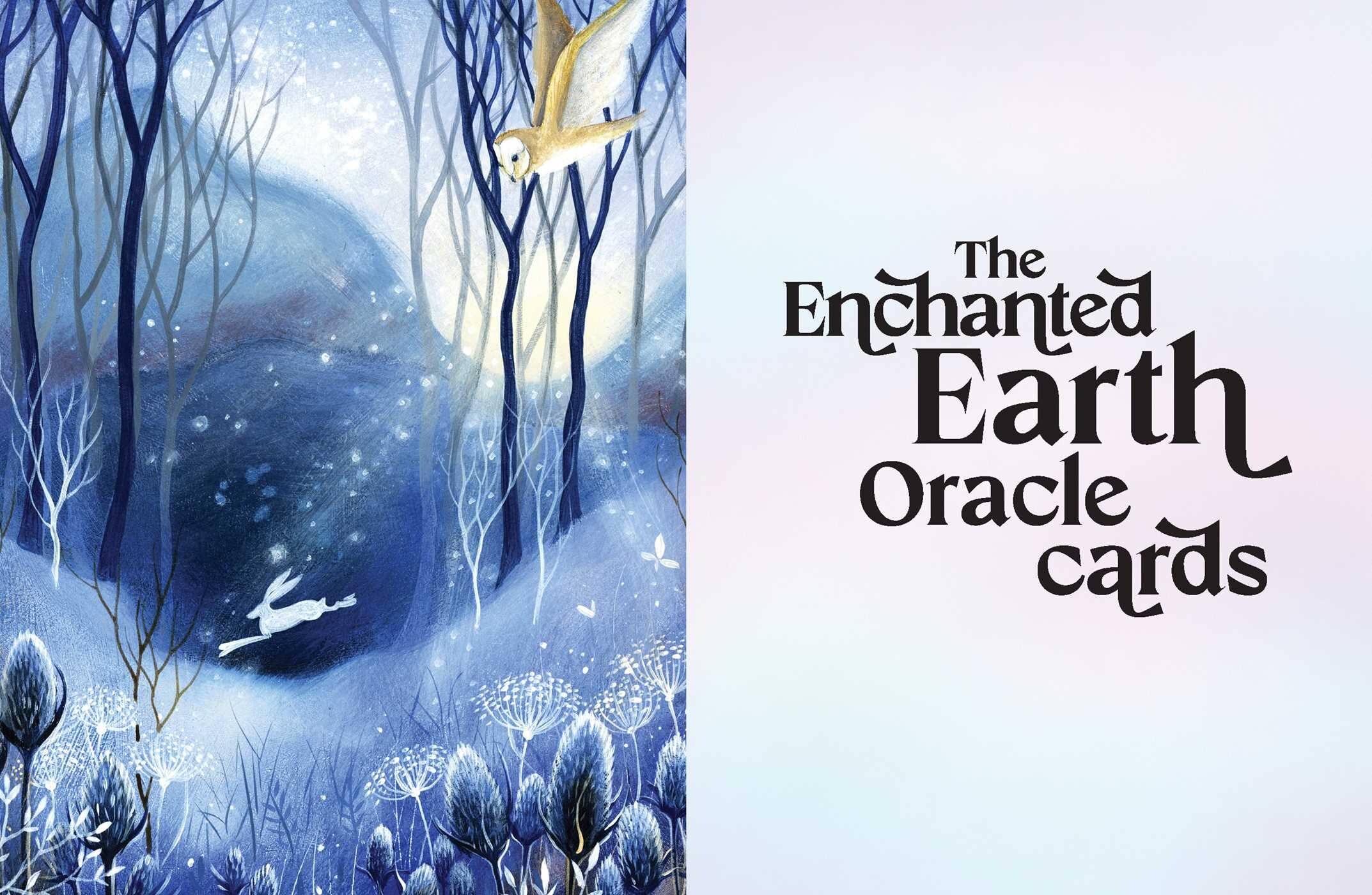 Enchanted Earth Oracle - Book Summary & Video | Official Publisher Page ...