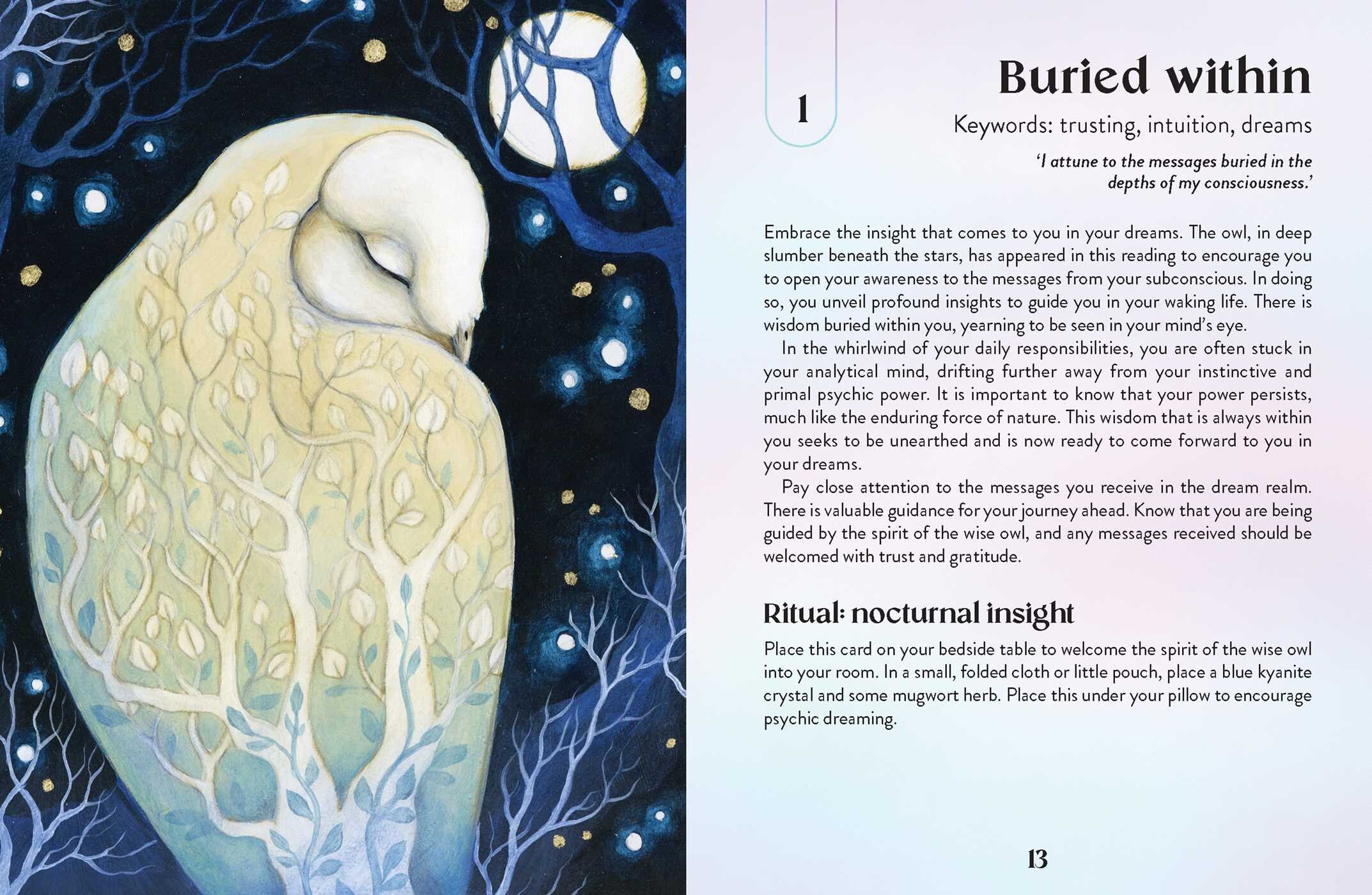 Enchanted Earth Oracle - Book Summary & Video | Official Publisher Page ...