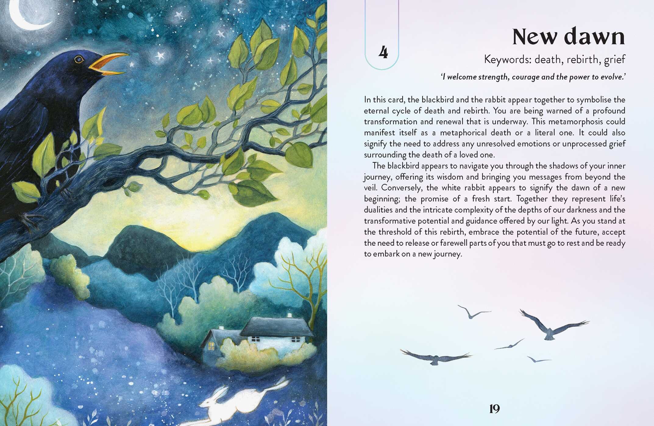 Enchanted Earth Oracle - Book Summary & Video | Official Publisher Page ...