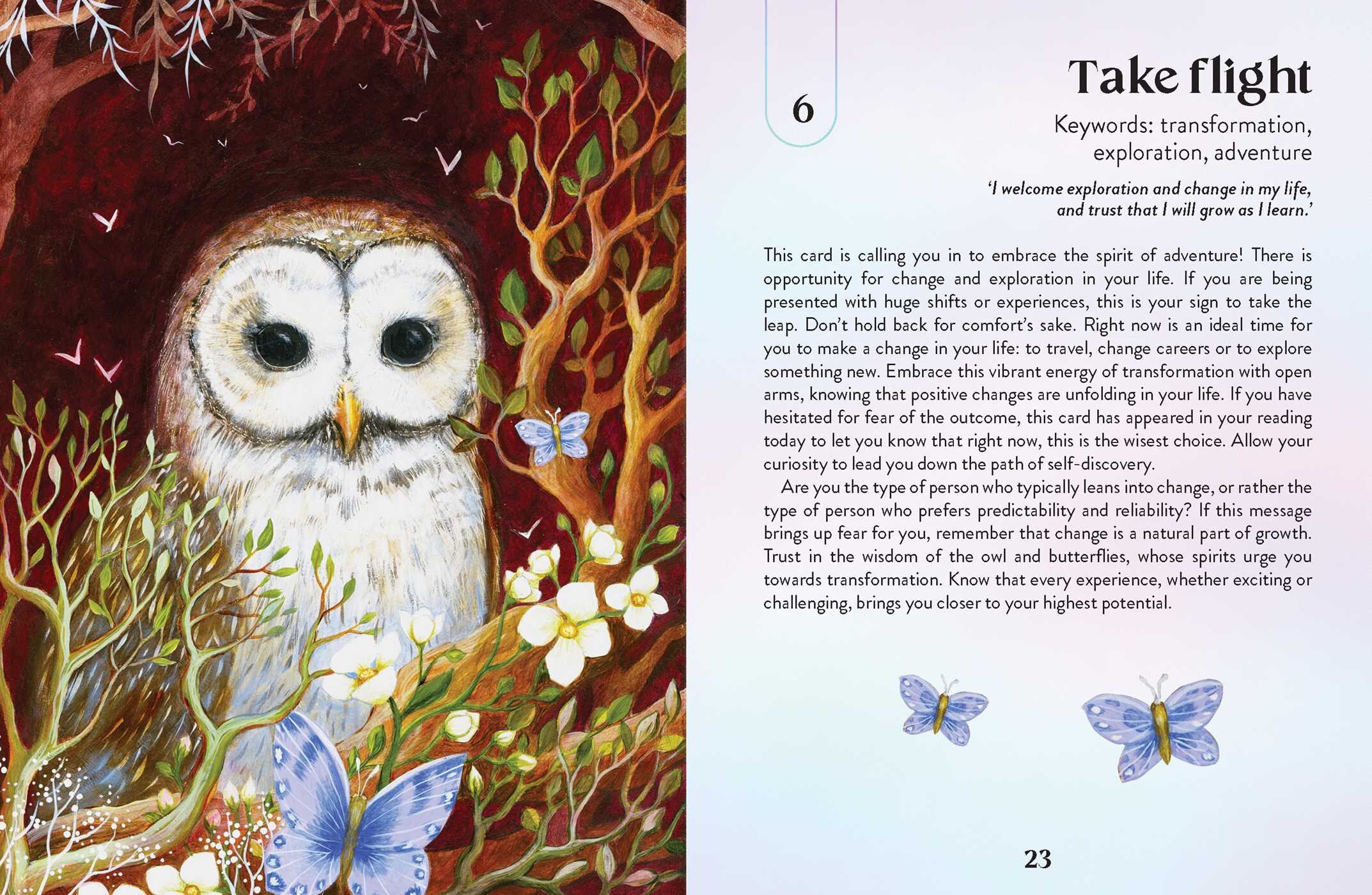 Enchanted Earth Oracle - Book Summary & Video | Official Publisher Page ...