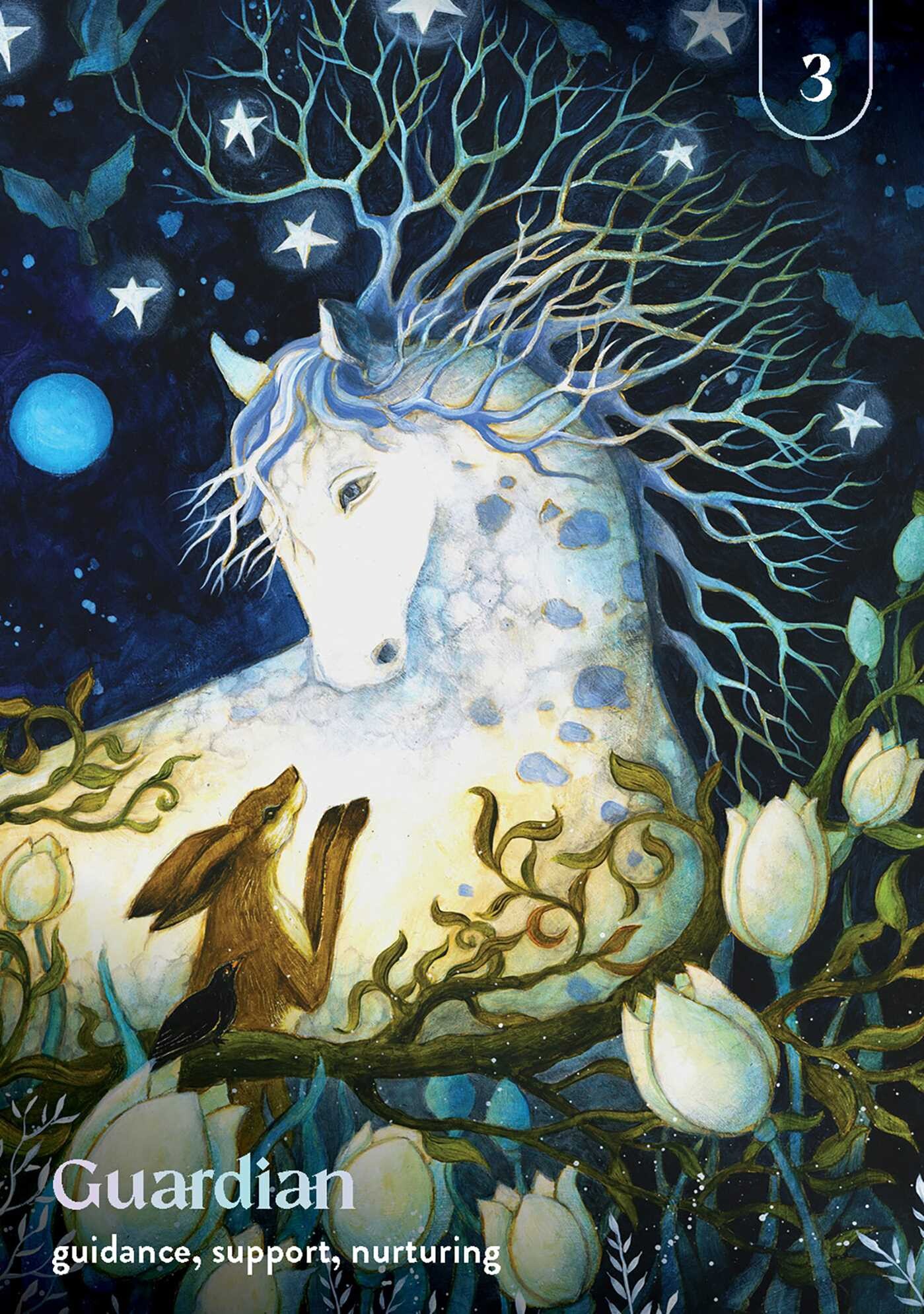 Enchanted Earth Oracle - Book Summary & Video | Official Publisher Page ...