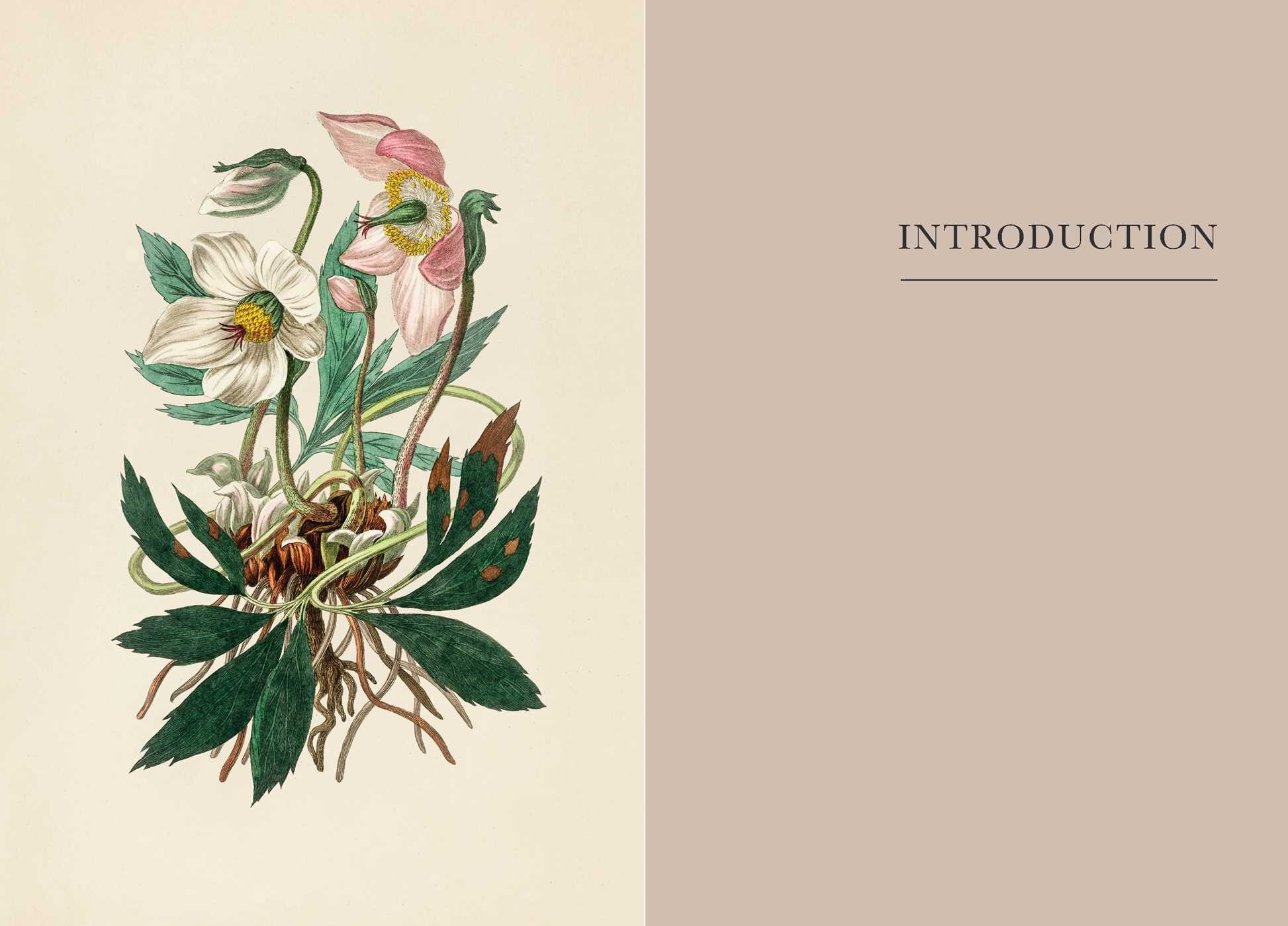 A Practical Guide to Magic in Nature | Book by Jessica Lahoud ...