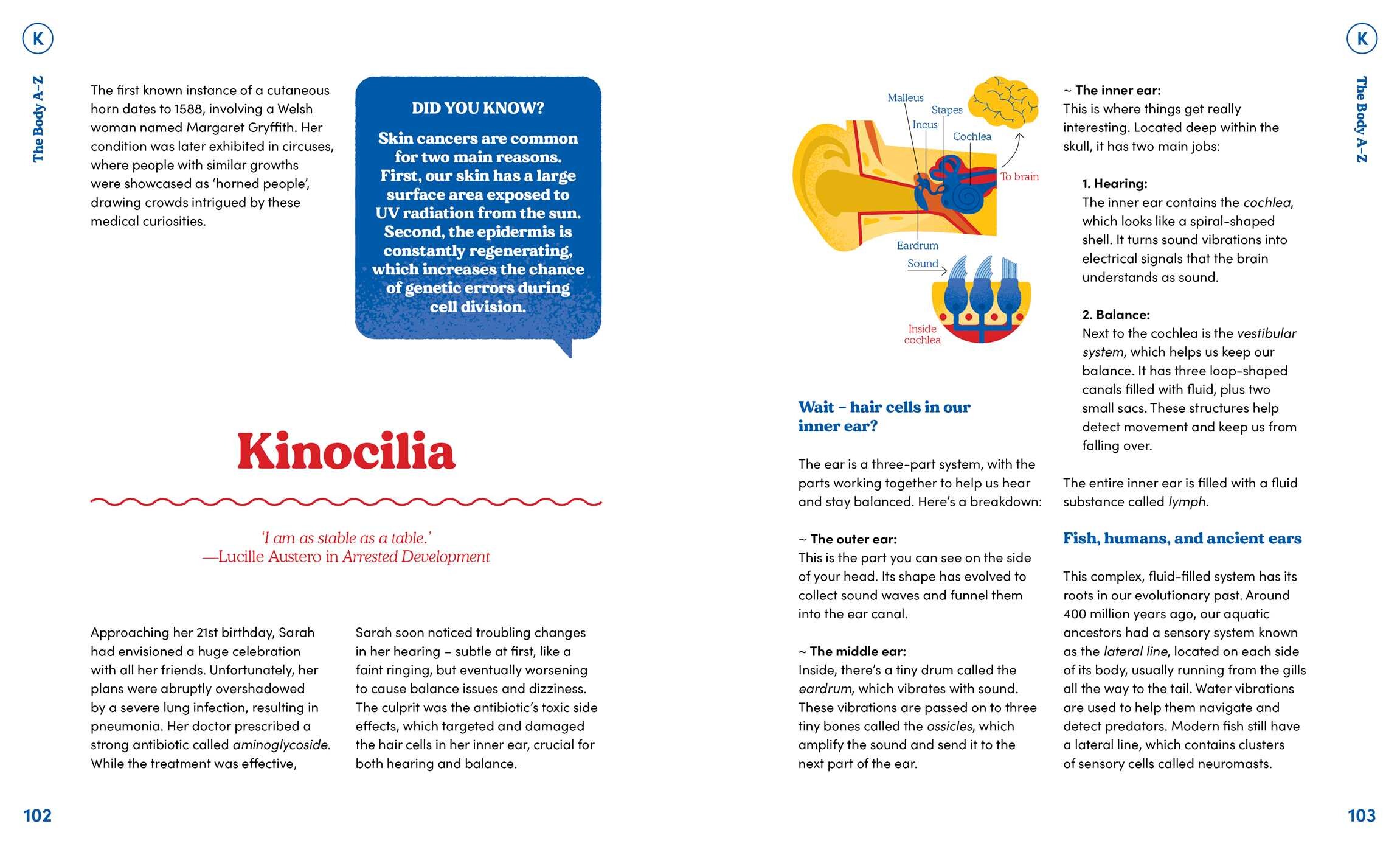 The Body A-Z | Book by Matthew Barton, Michael Todorovic | Official ...