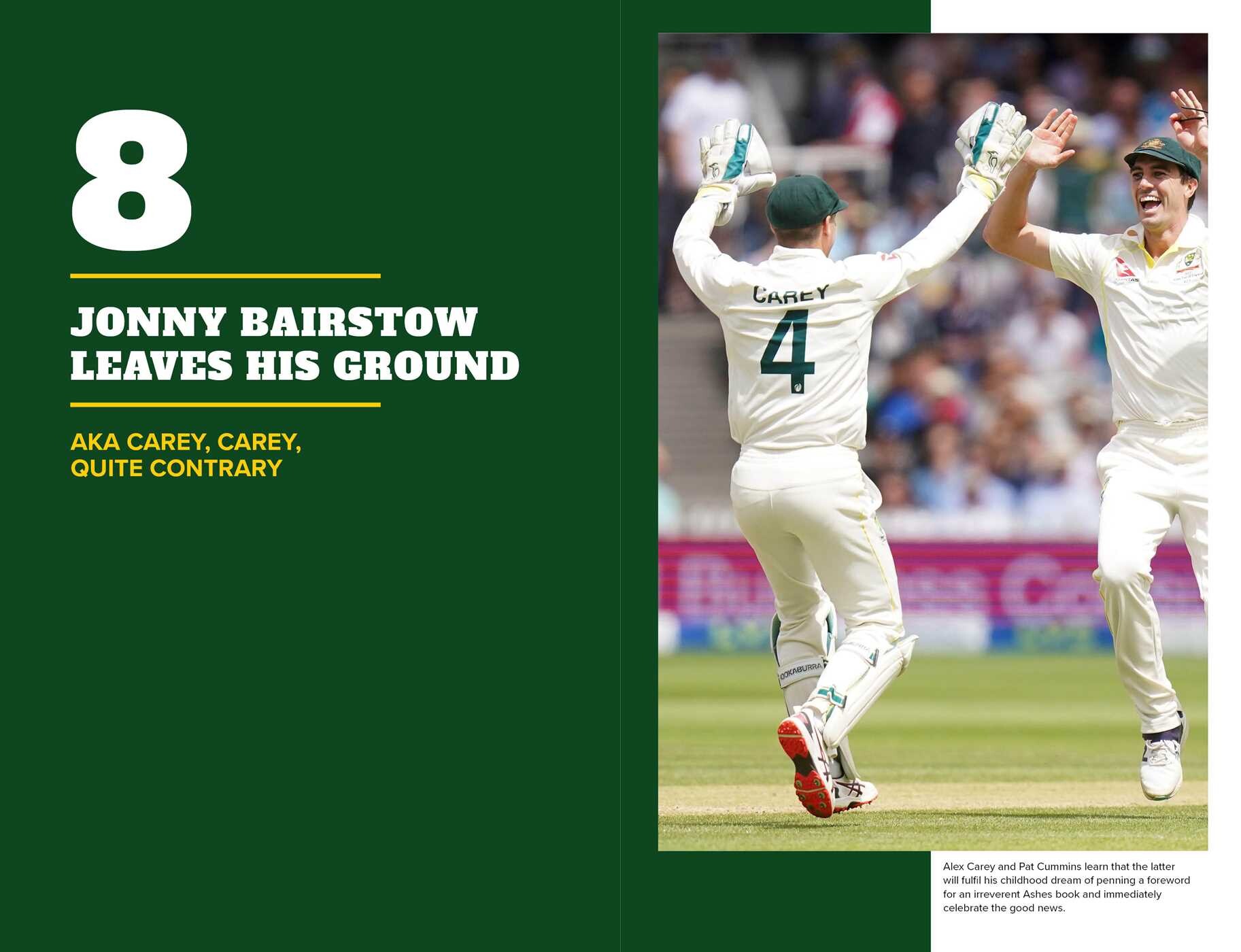 The 50 Most Ridiculous Ashes Moments | Book by Dan Liebke, Alex Bowden ...