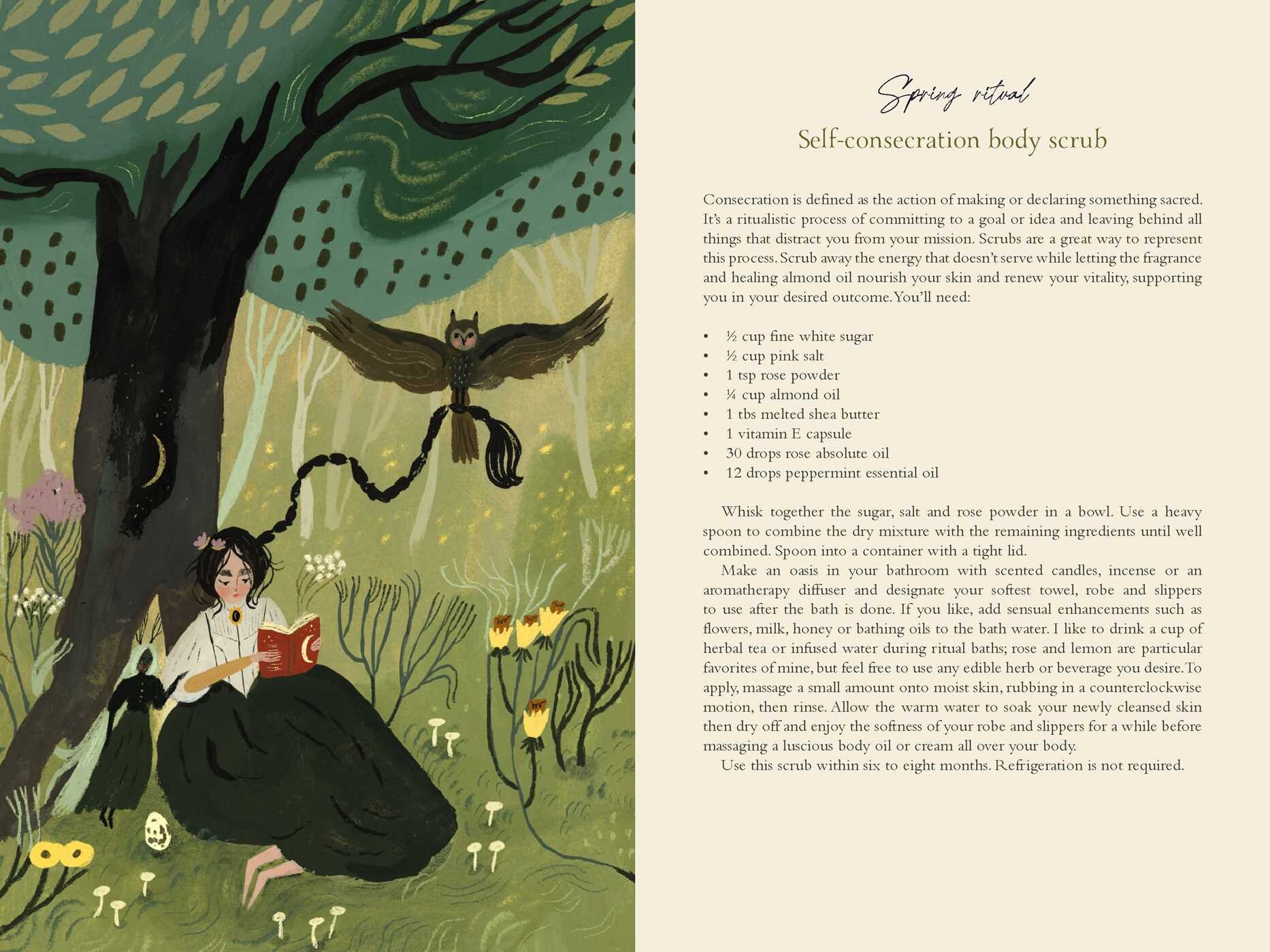 2026 Seasons of the Witch Planner Calendar - Book Summary & Video ...