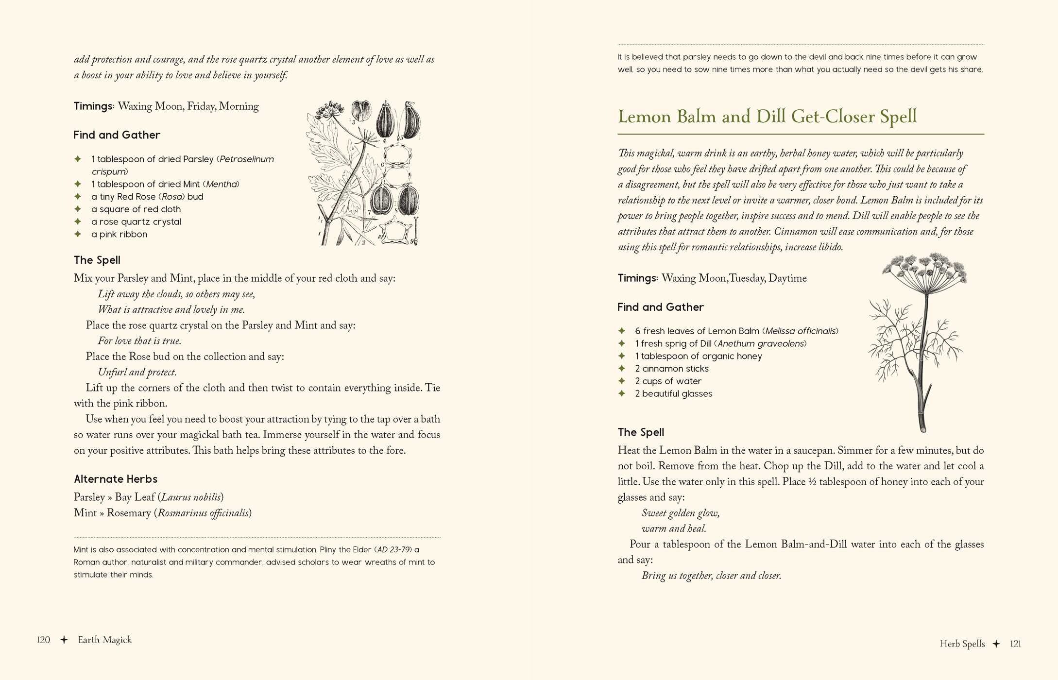 Earth Magick | Book by Cheralyn Darcey | Official Publisher Page ...