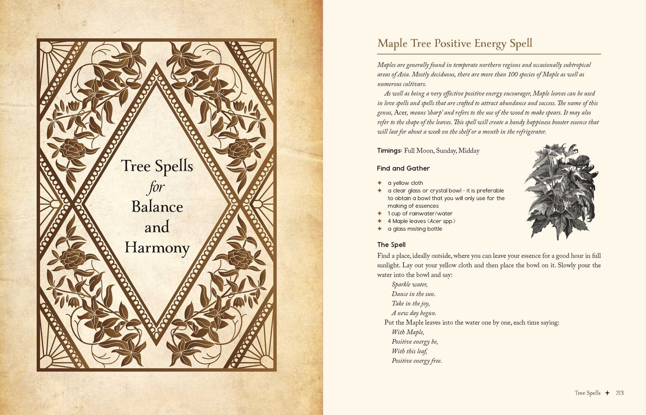 Earth Magick | Book by Cheralyn Darcey | Official Publisher Page ...
