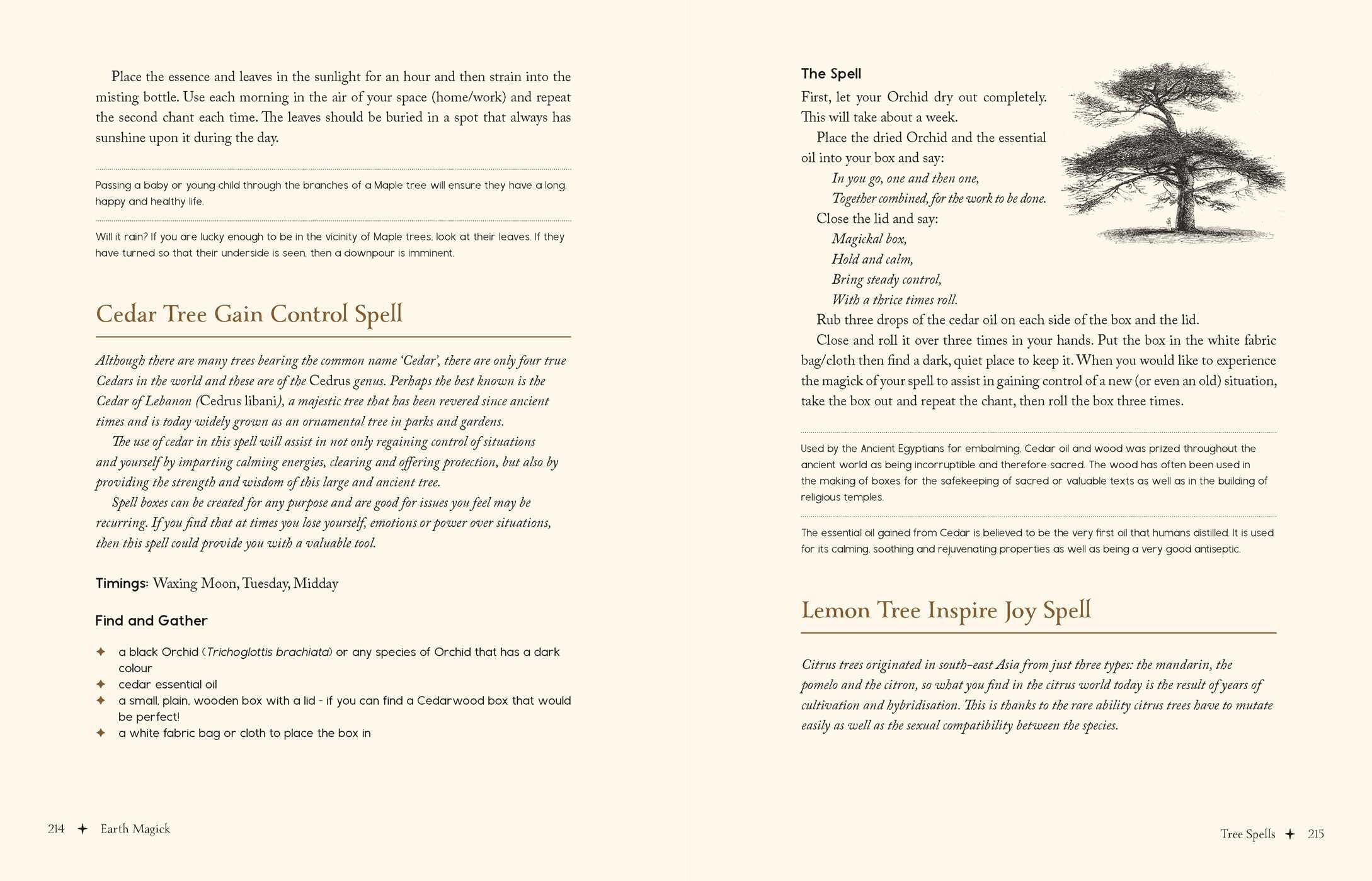 Earth Magick | Book by Cheralyn Darcey | Official Publisher Page ...