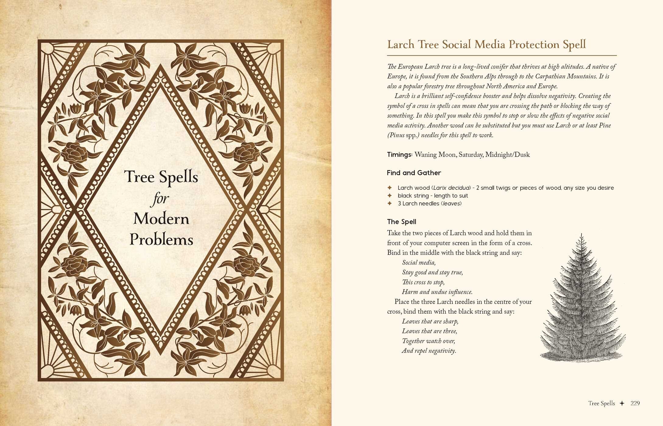 Earth Magick | Book by Cheralyn Darcey | Official Publisher Page ...