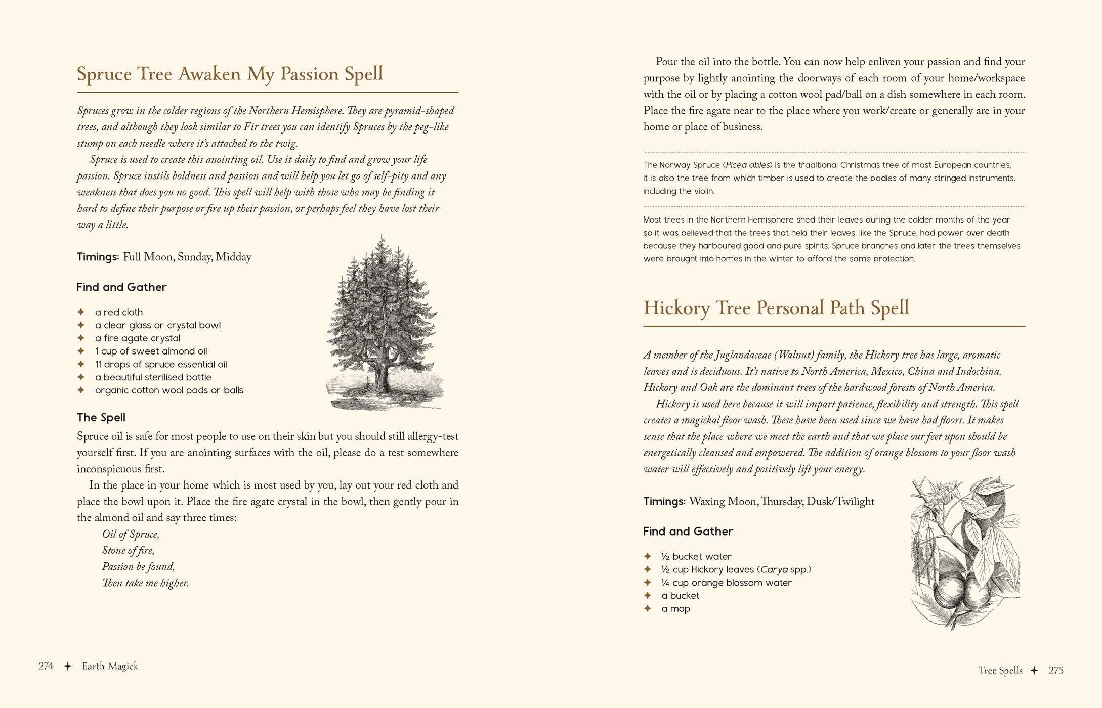 Earth Magick | Book by Cheralyn Darcey | Official Publisher Page ...