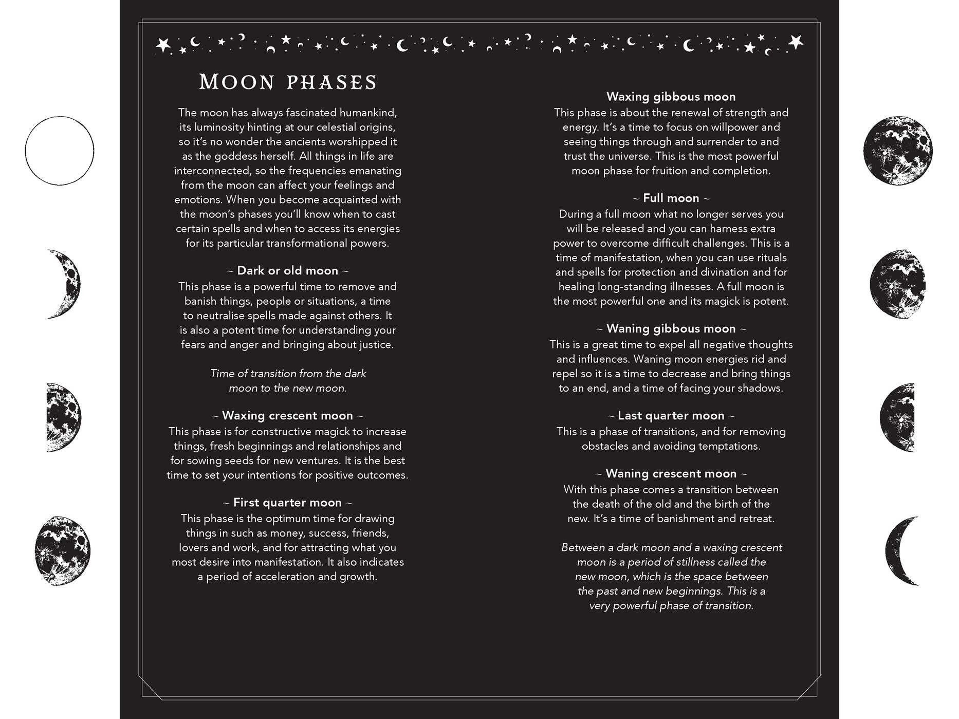 2027 Witch's Diary and Planner Calendar - Northern Hemisphere - Book ...